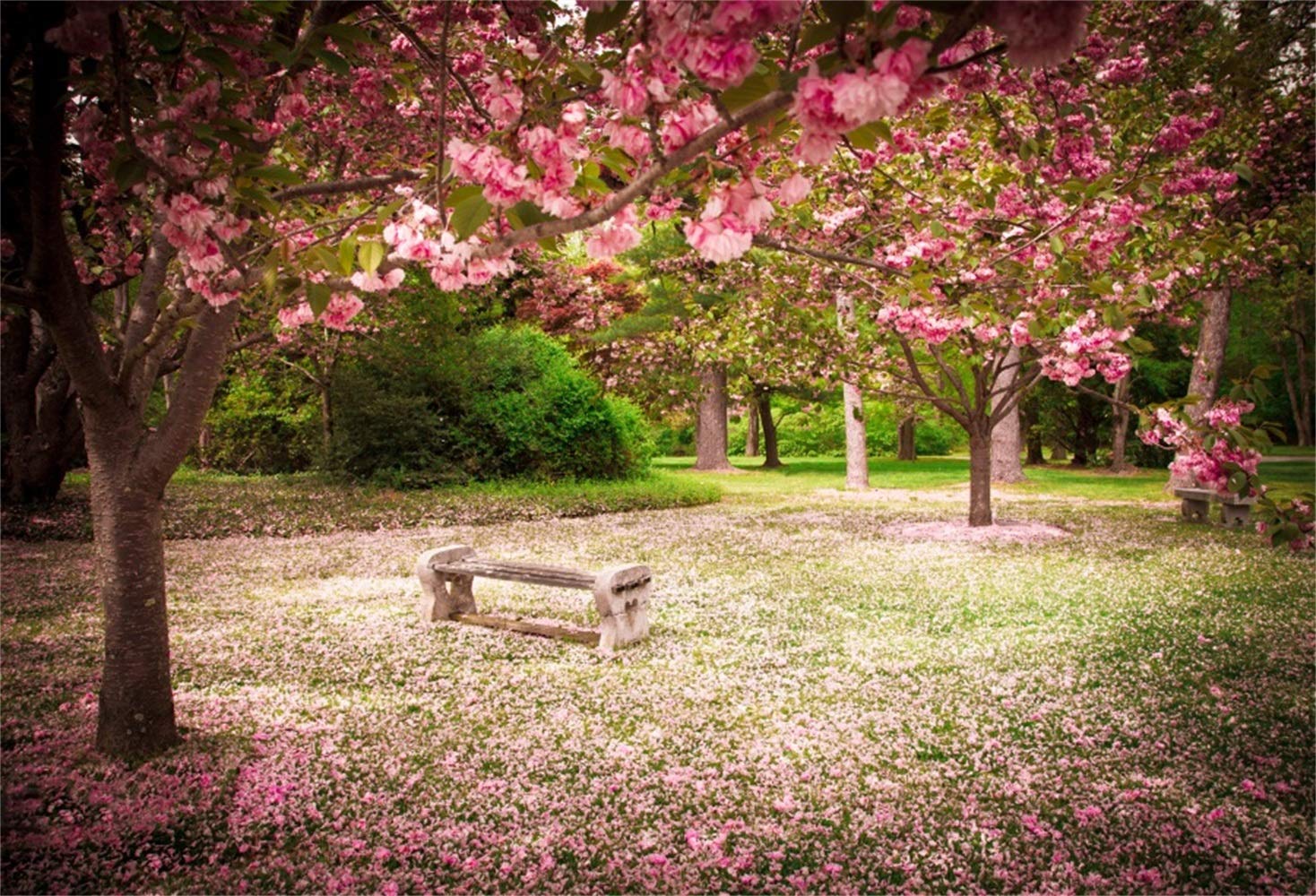 Spring Flower Bench Wallpapers - Wallpaper Cave