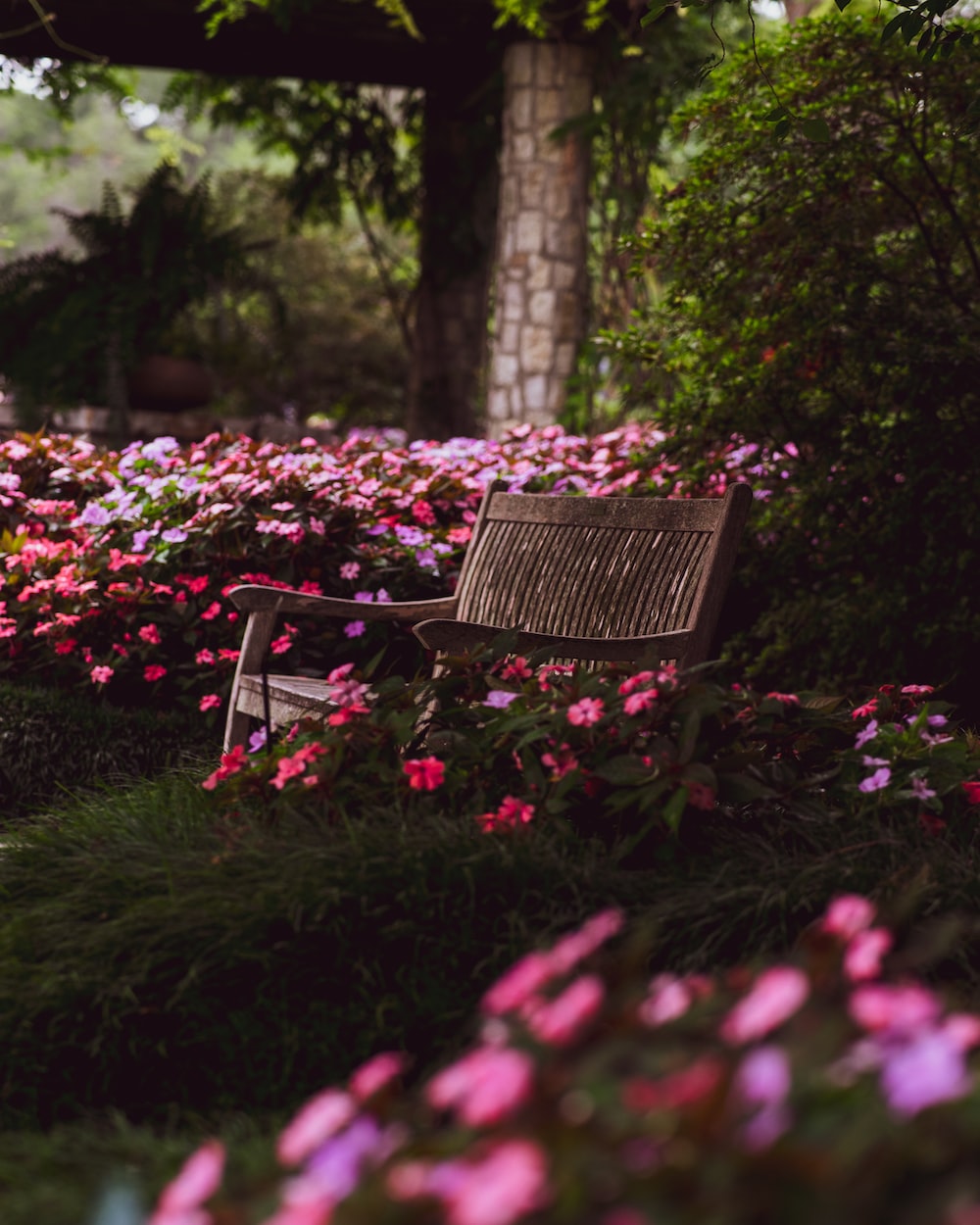 Spring Flower Bench Wallpapers - Wallpaper Cave