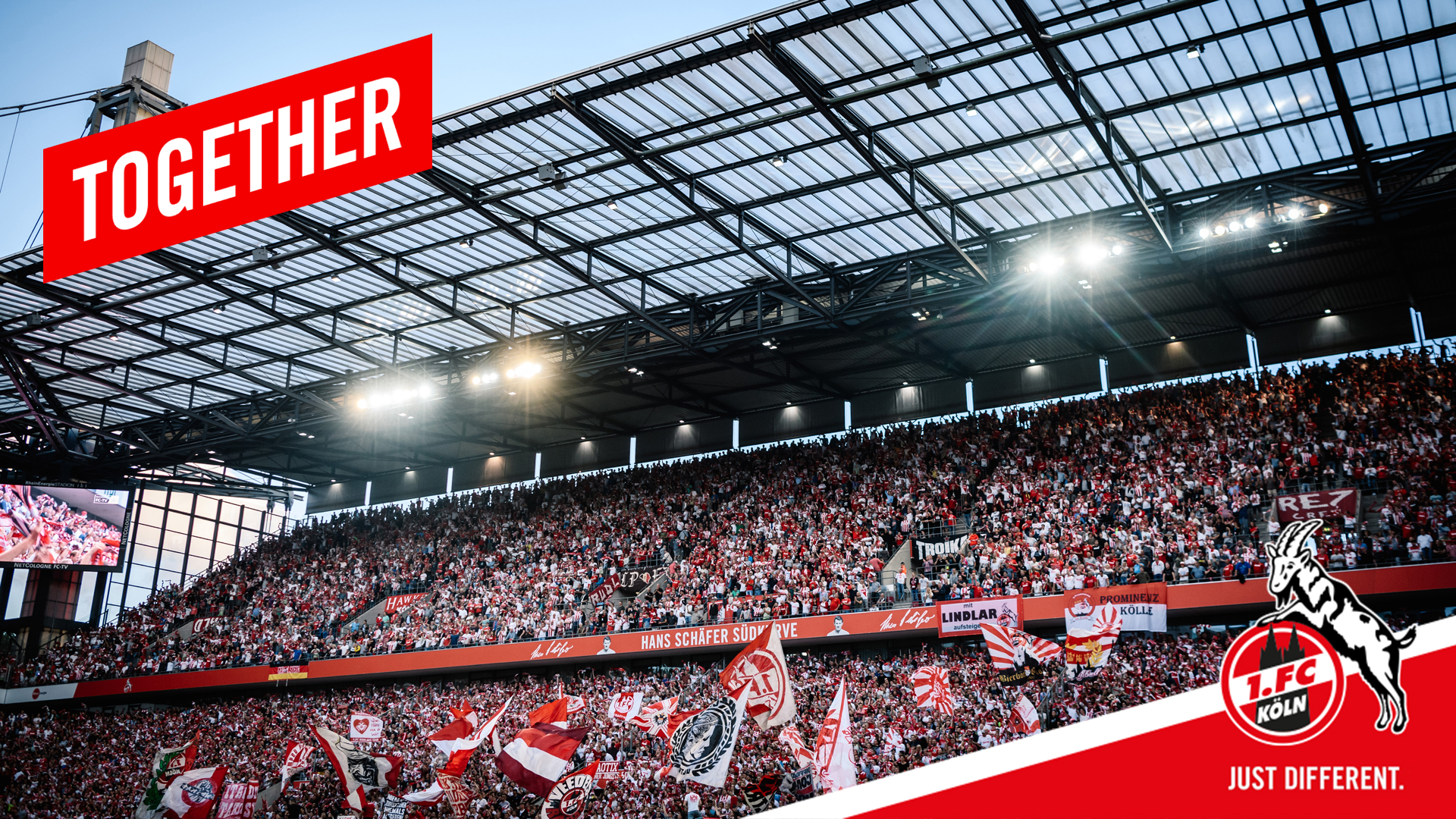 FC Koln Desktop Wallpapers - Wallpaper Cave