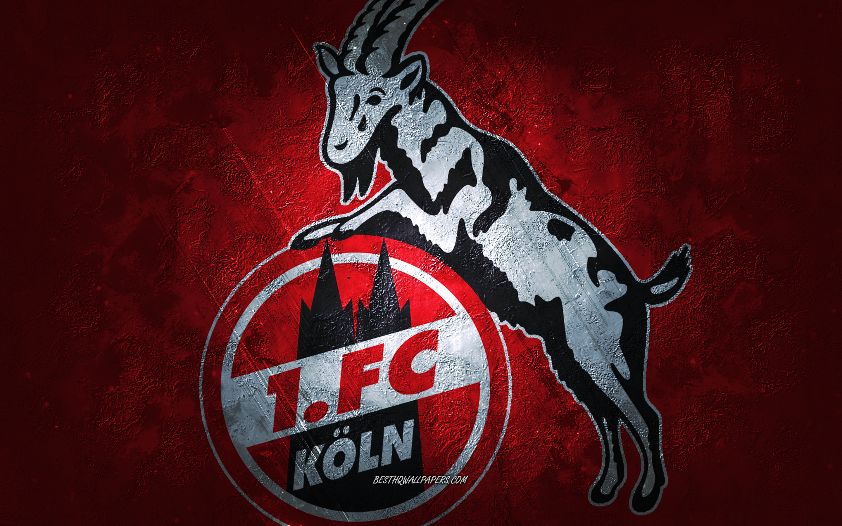 FC Koln Desktop Wallpapers - Wallpaper Cave