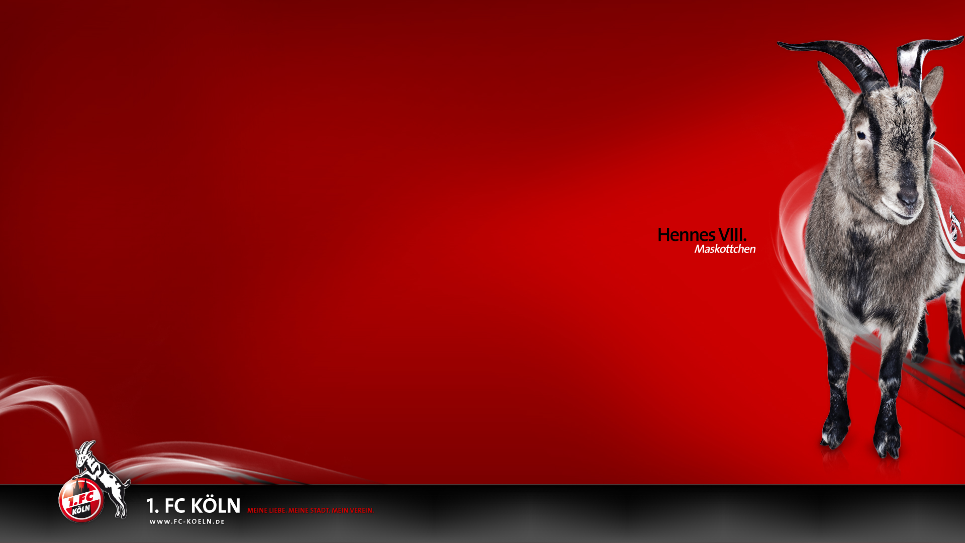 FC Koln Desktop Wallpapers - Wallpaper Cave