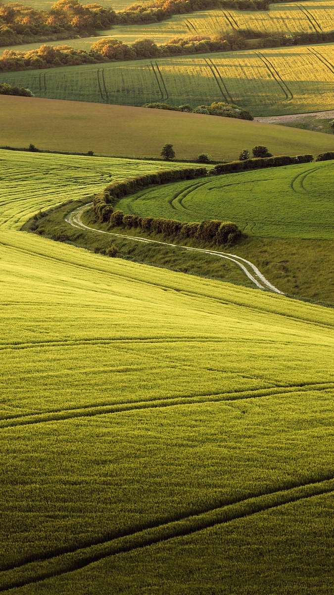 Green Farm Wallpapers - Wallpaper Cave