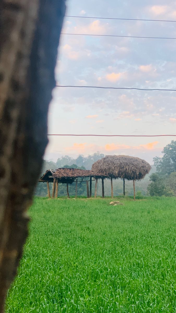 Green Farm Wallpapers - Wallpaper Cave