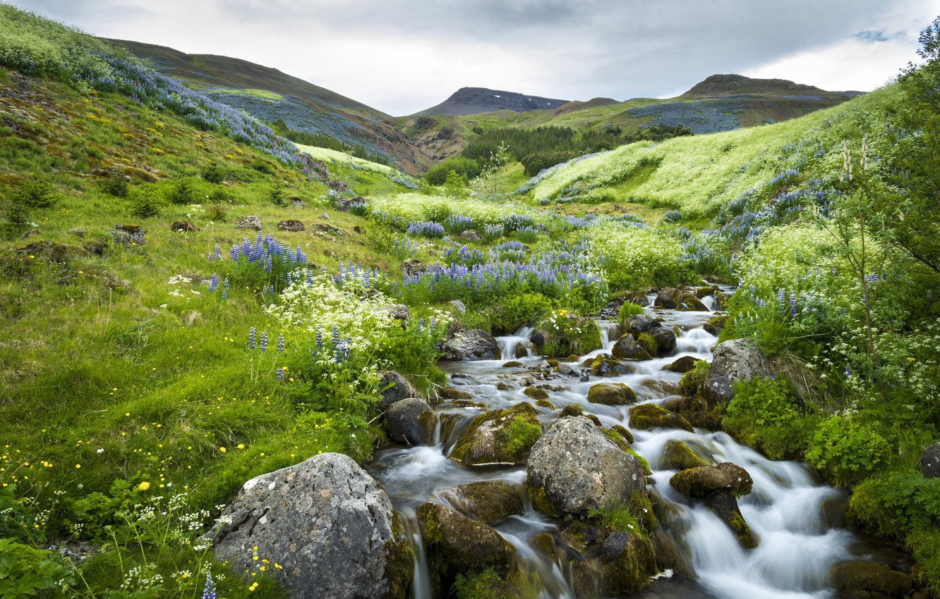 Meadow Spring Wallpapers - Wallpaper Cave