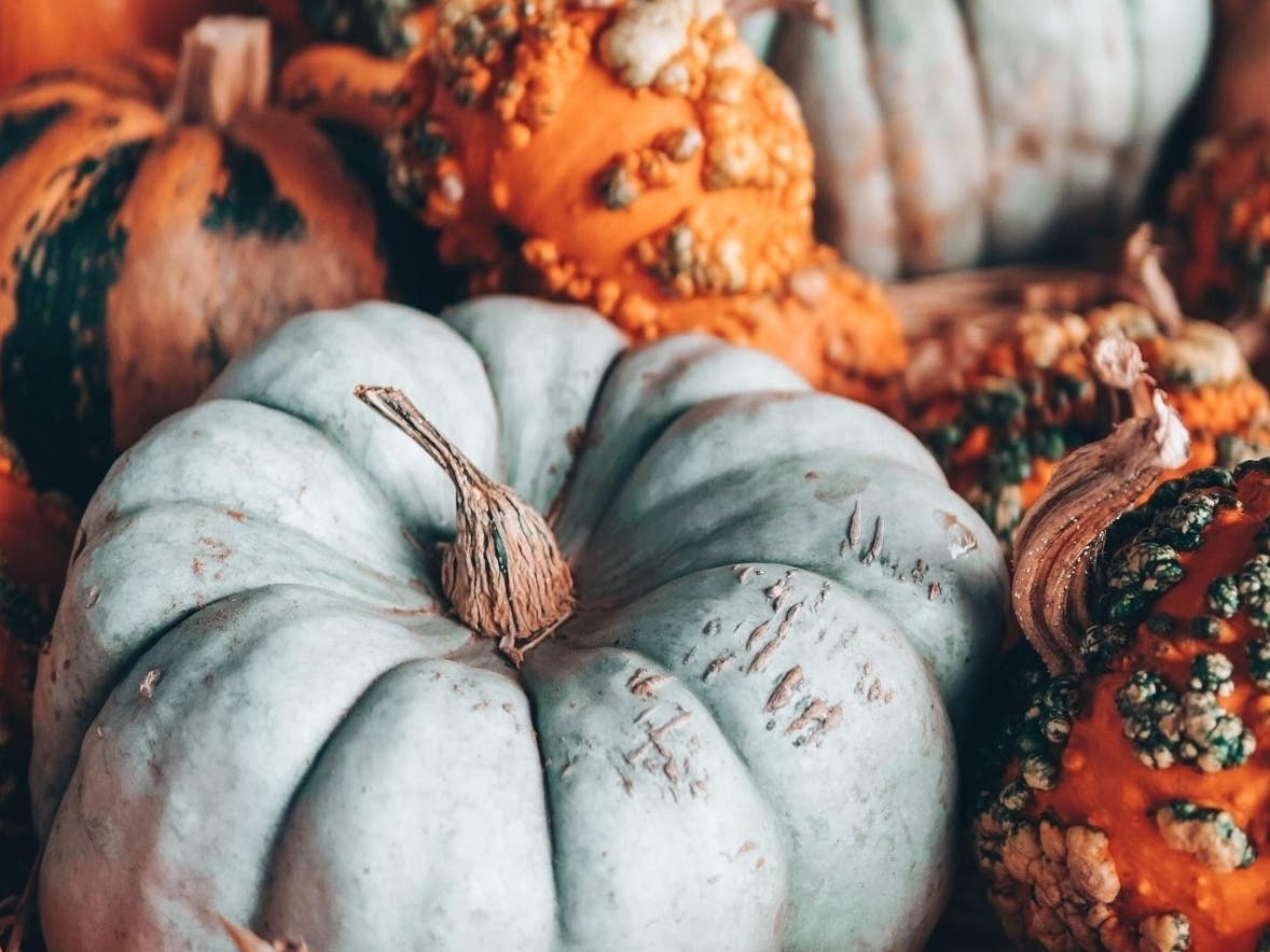 Autumn Pumpkin Field Desktop Wallpapers - Wallpaper Cave