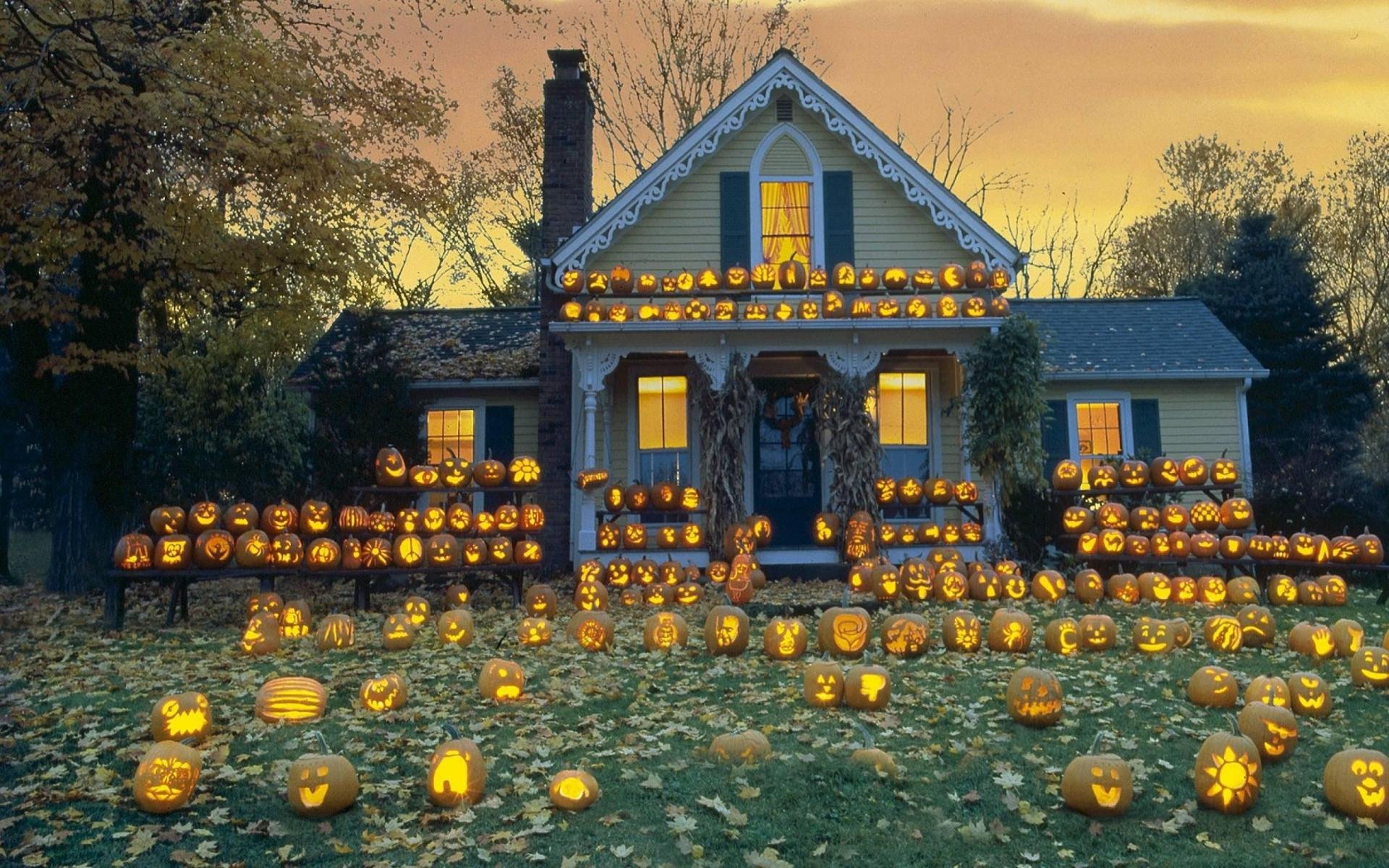Autumn Pumpkin Field Desktop Wallpapers - Wallpaper Cave