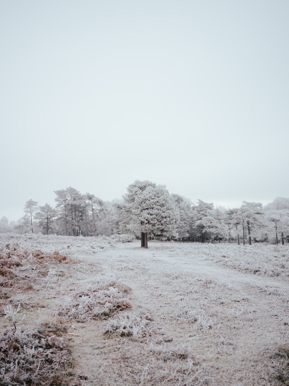 Frozen Fields Wallpapers - Wallpaper Cave