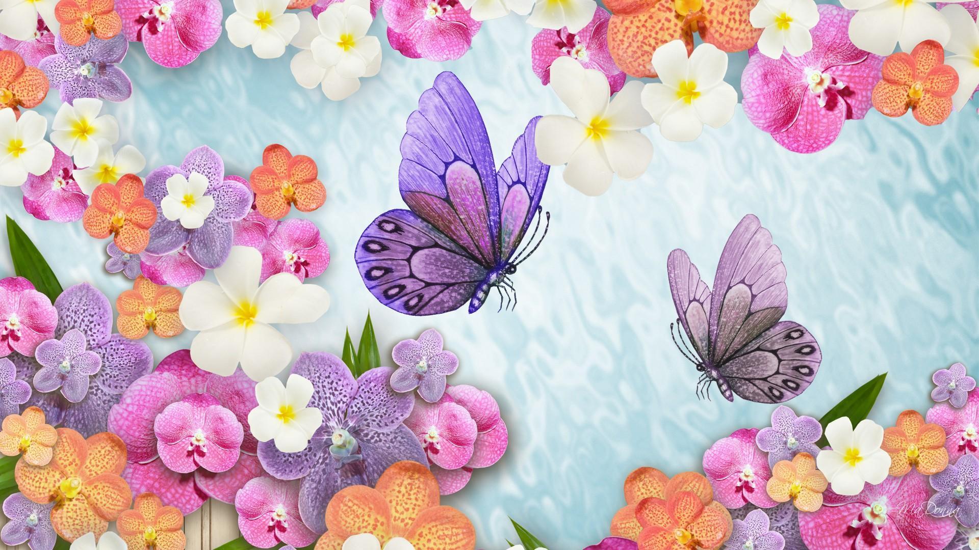 Springtime Butterfly Wallpapers - Wallpaper Cave