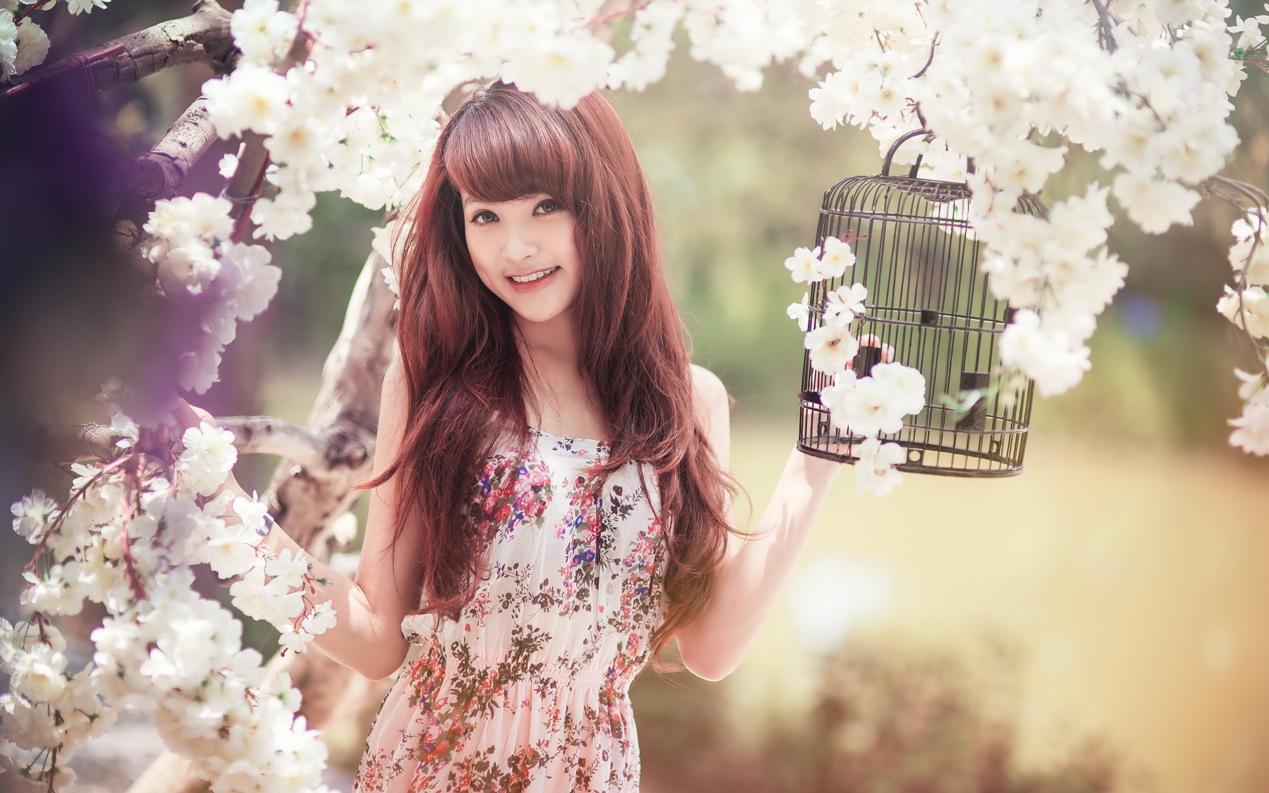 Asian Spring Wallpapers - Wallpaper Cave