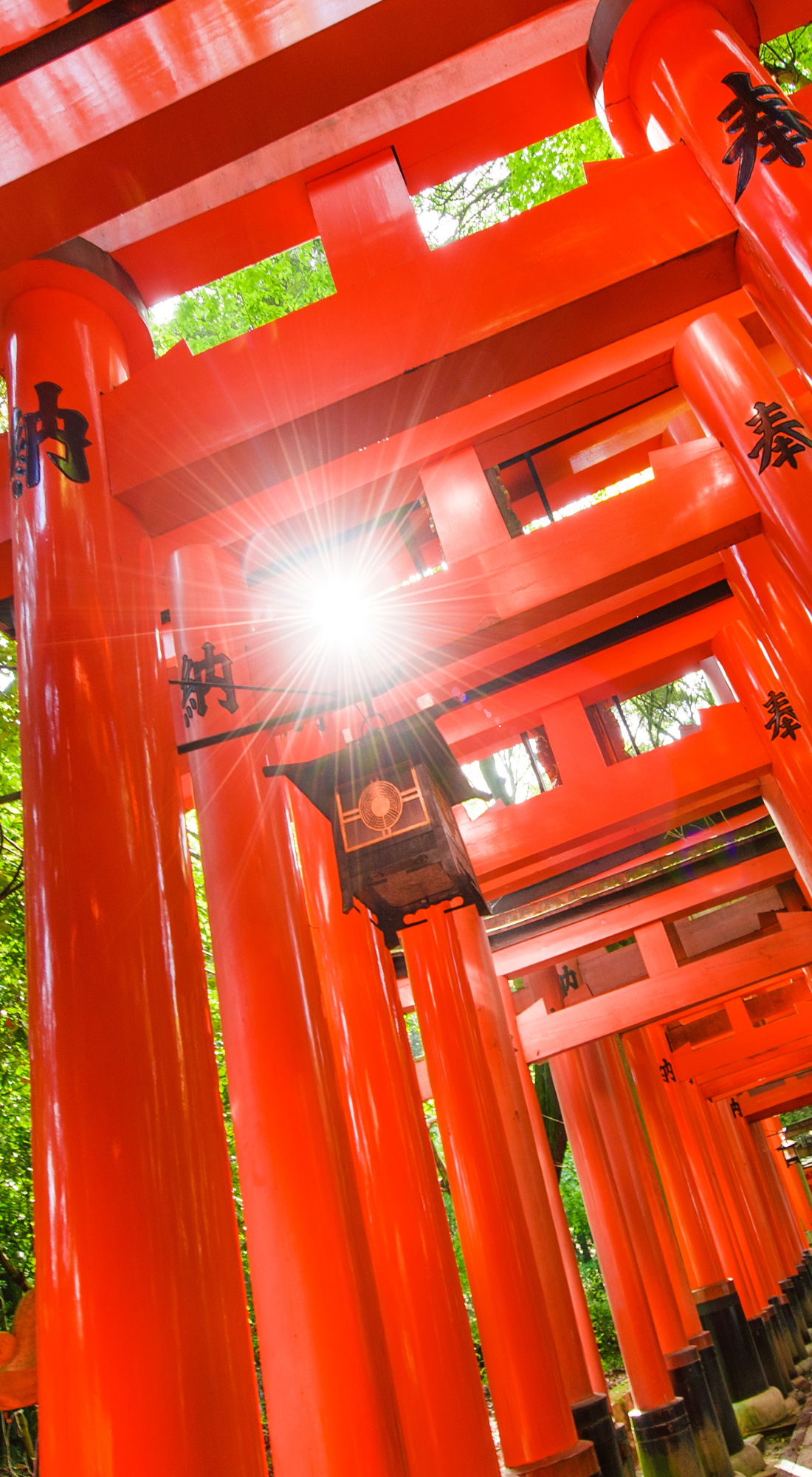 Fushimi Inari iPhone Wallpapers - Wallpaper Cave