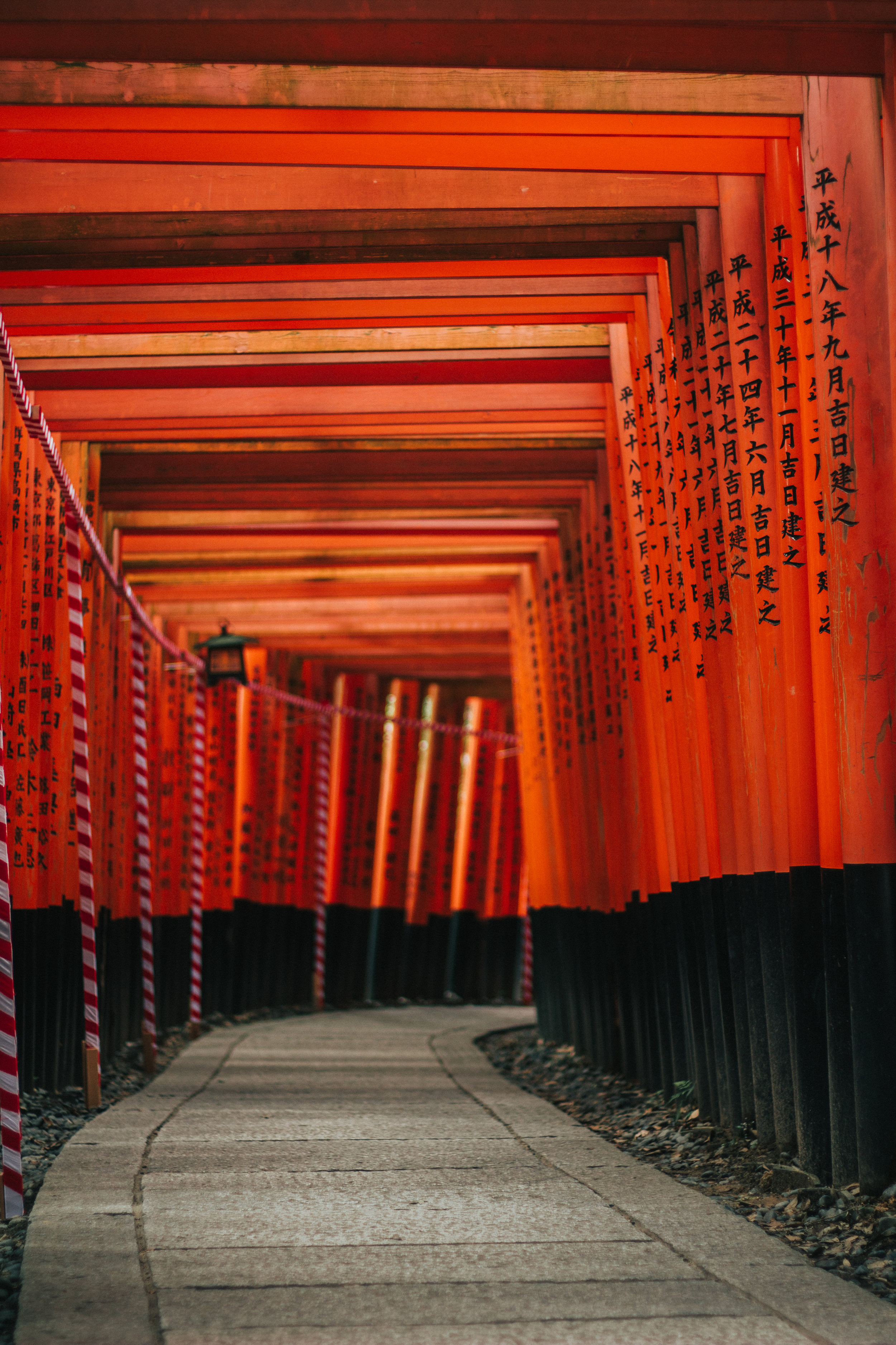 Fushimi Inari iPhone Wallpapers - Wallpaper Cave
