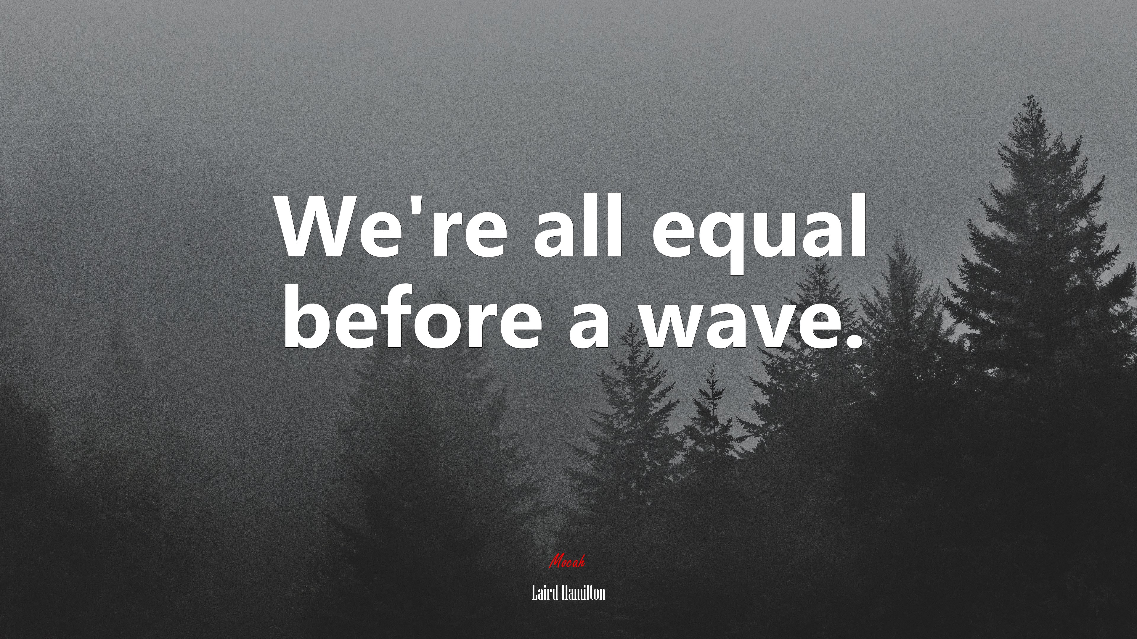 We Are All Equal Wallpapers - Wallpaper Cave