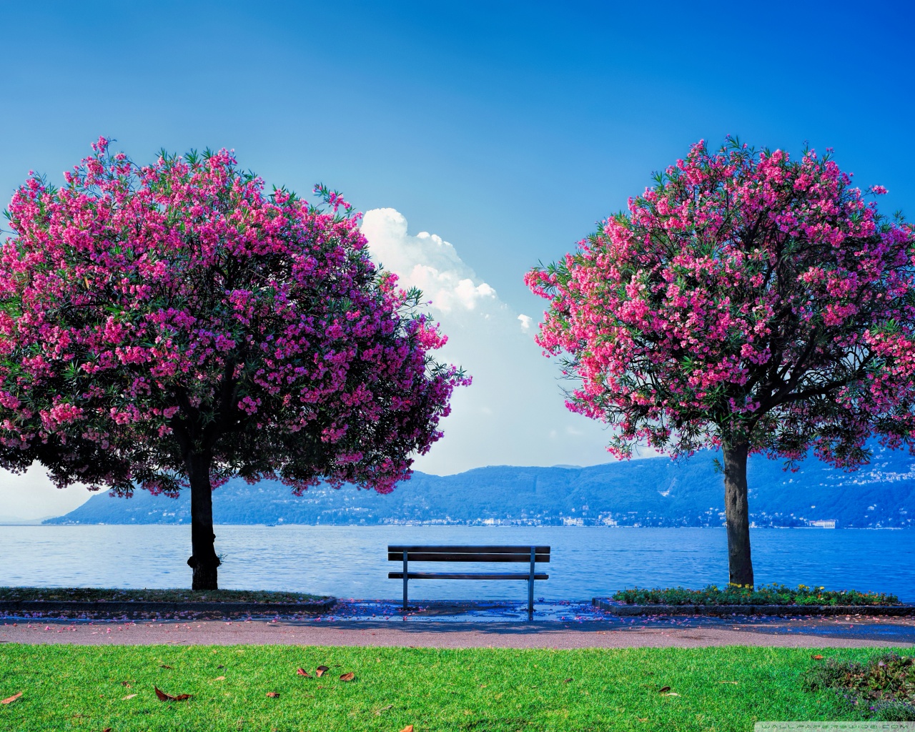 Spring 1280x1024 Wallpapers - Wallpaper Cave