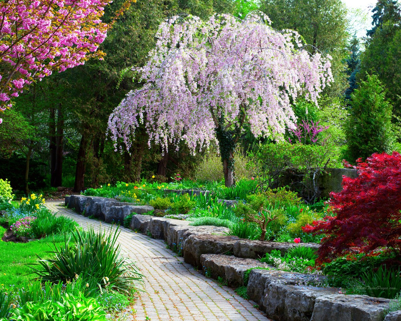 Spring 1280x1024 Wallpapers - Wallpaper Cave