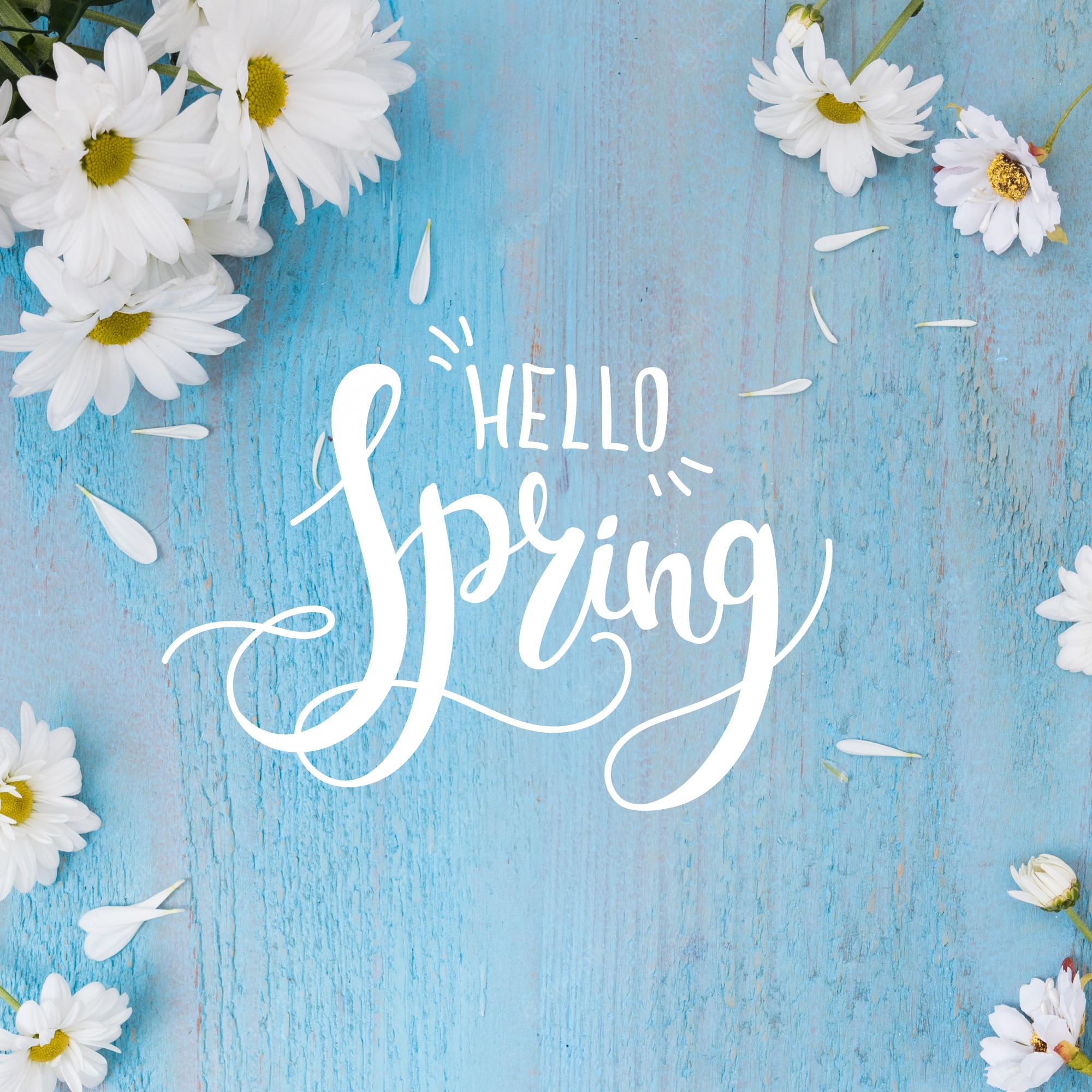 Hello Spring Blue Wallpapers - Wallpaper Cave