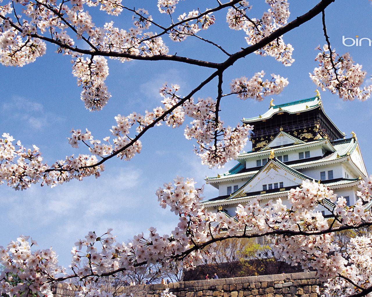 Spring 1280x1024 Wallpapers - Wallpaper Cave