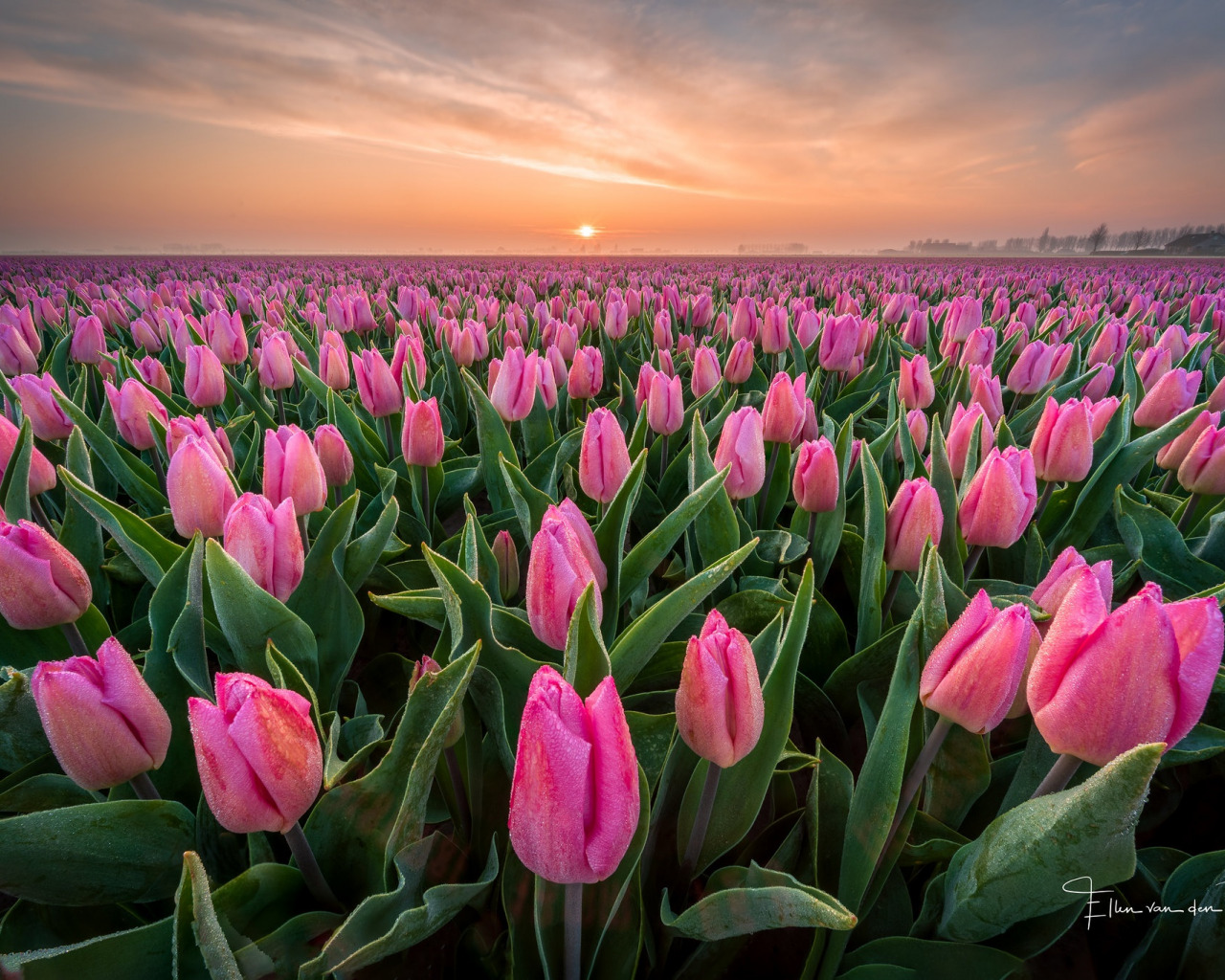 Spring 1280x1024 Wallpapers - Wallpaper Cave