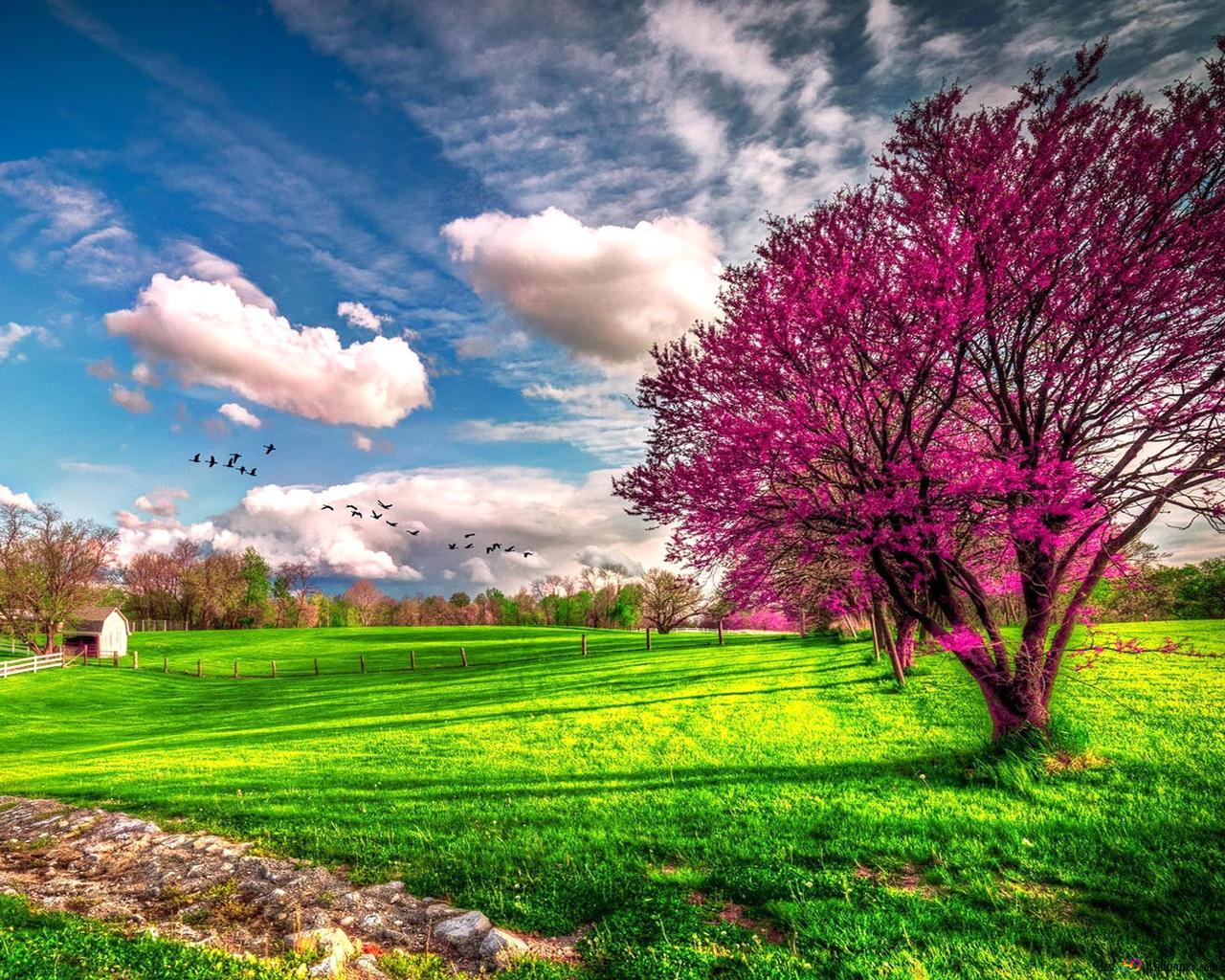 Spring 1280x1024 Wallpapers - Wallpaper Cave