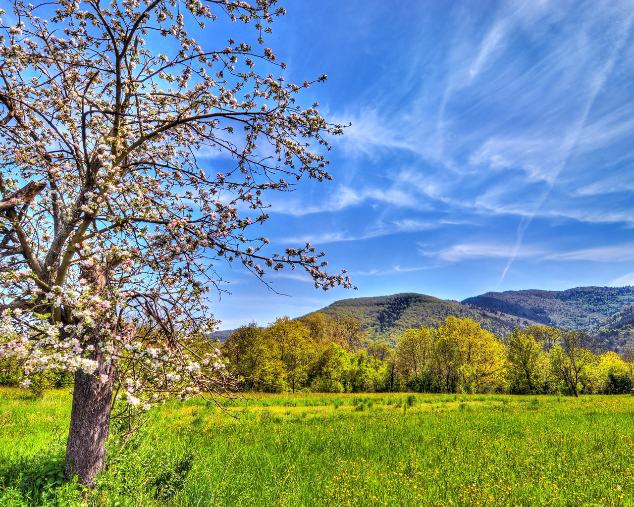 Spring 1280x1024 Wallpapers - Wallpaper Cave