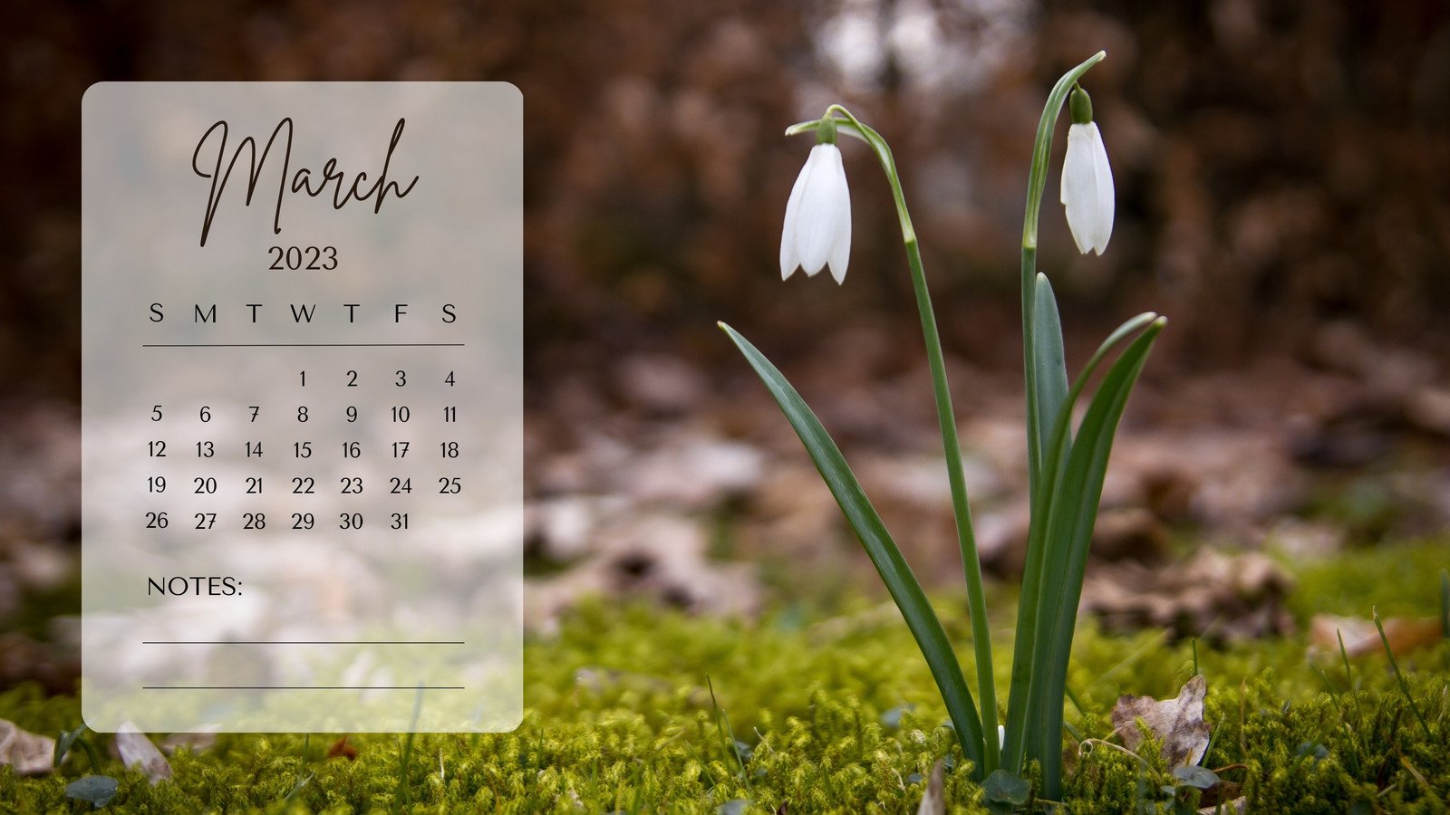 2023 Spring Wallpapers - Wallpaper Cave