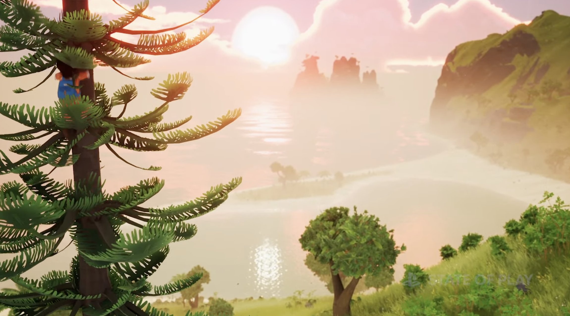 Tchia 2023 Wallpapers - Wallpaper Cave