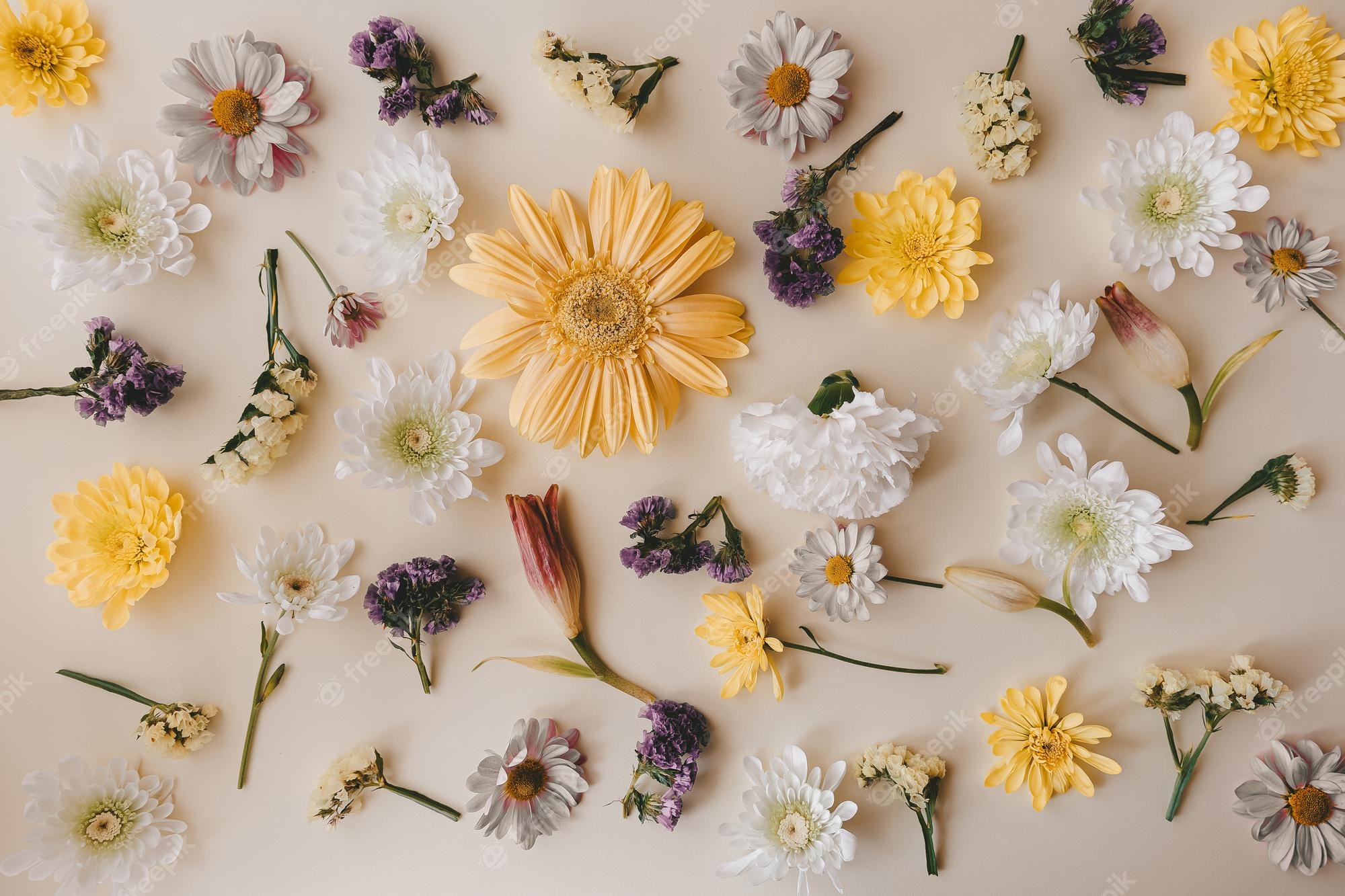 Spring Flowers Lay Wallpapers - Wallpaper Cave