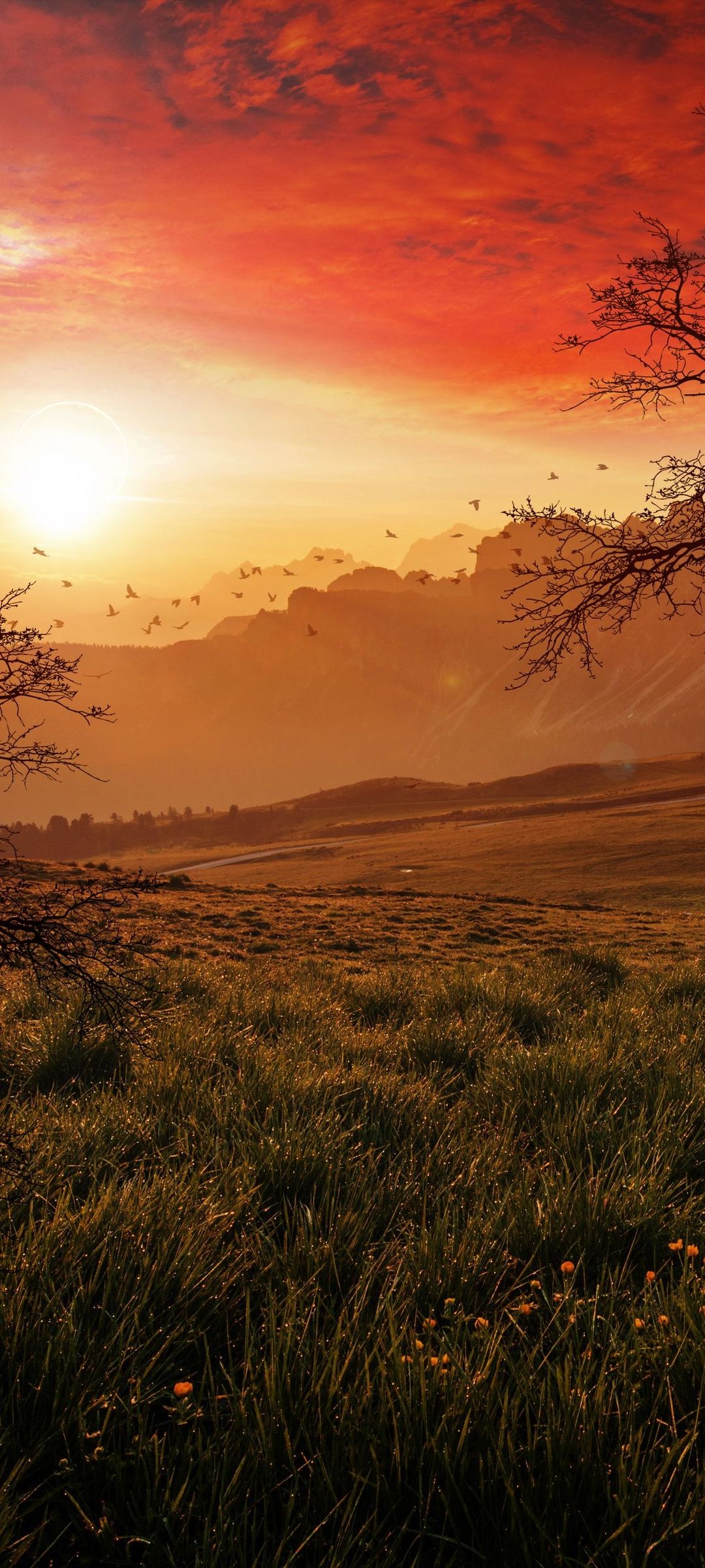 Sunrise Phone Wallpapers - Wallpaper Cave