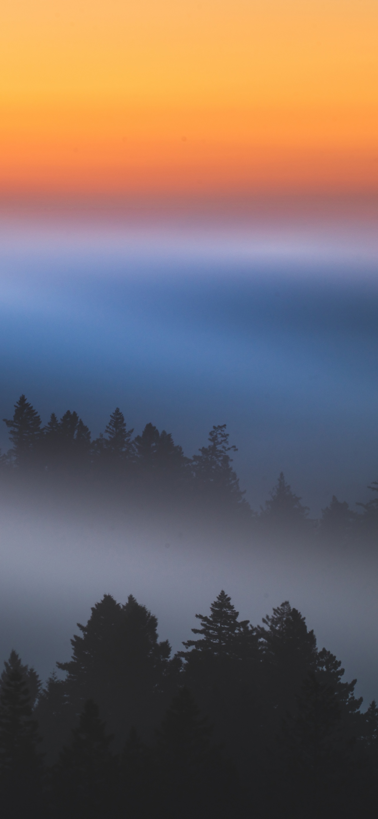 Sunrise Phone Wallpapers - Wallpaper Cave