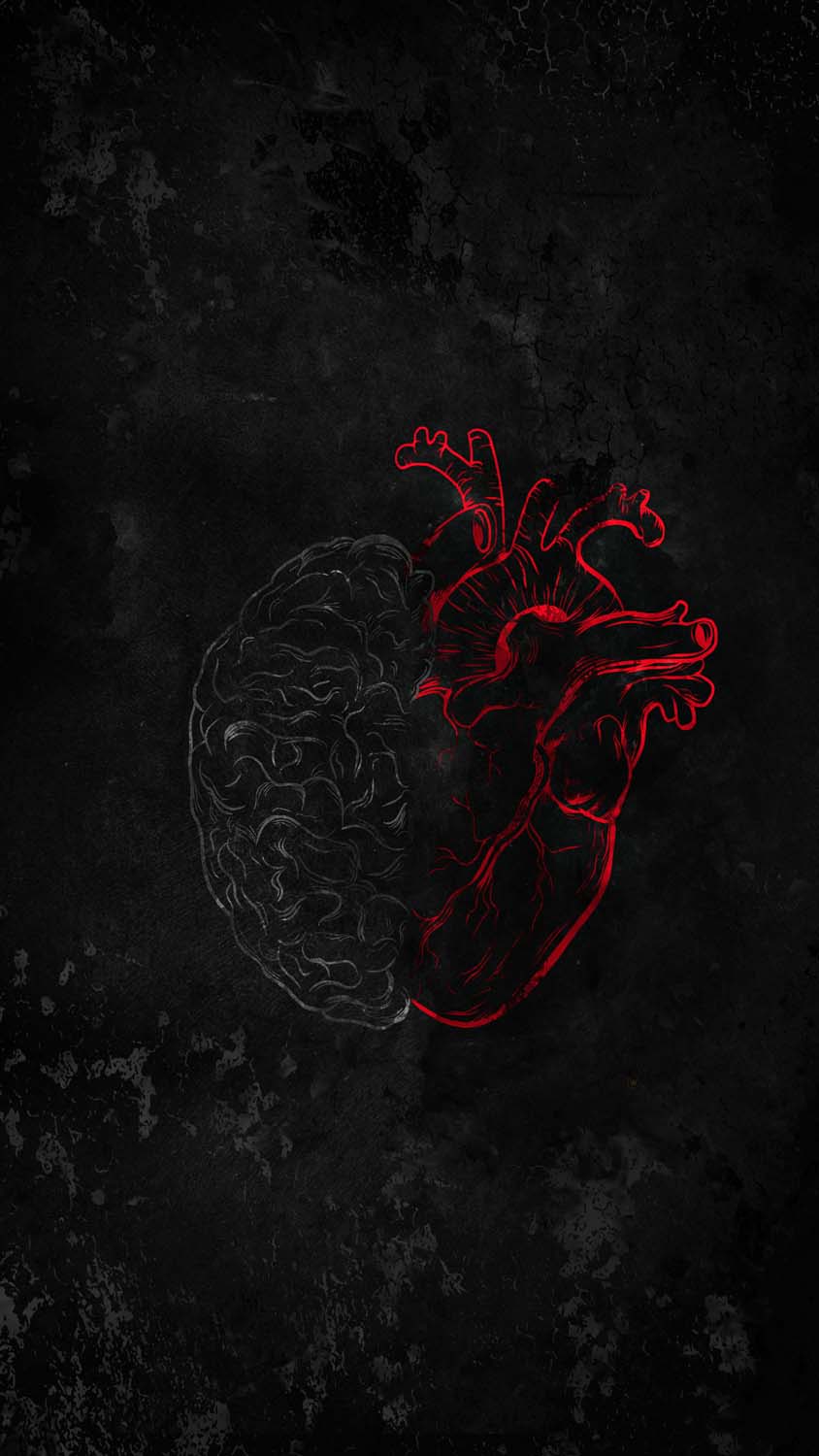 Cardiology Heart Aesthetics Wallpapers - Wallpaper Cave