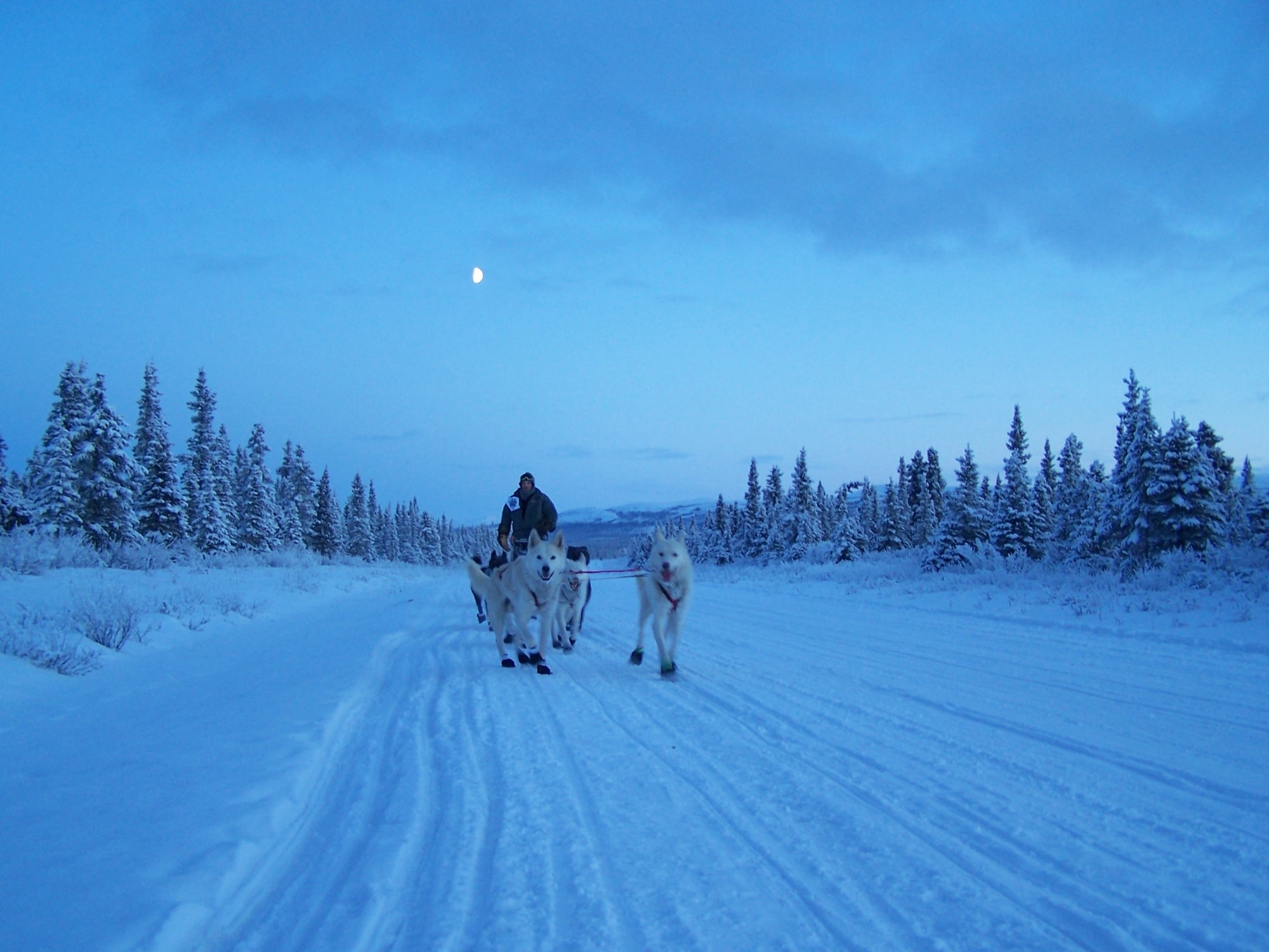 Iditarod Wallpapers - Wallpaper Cave