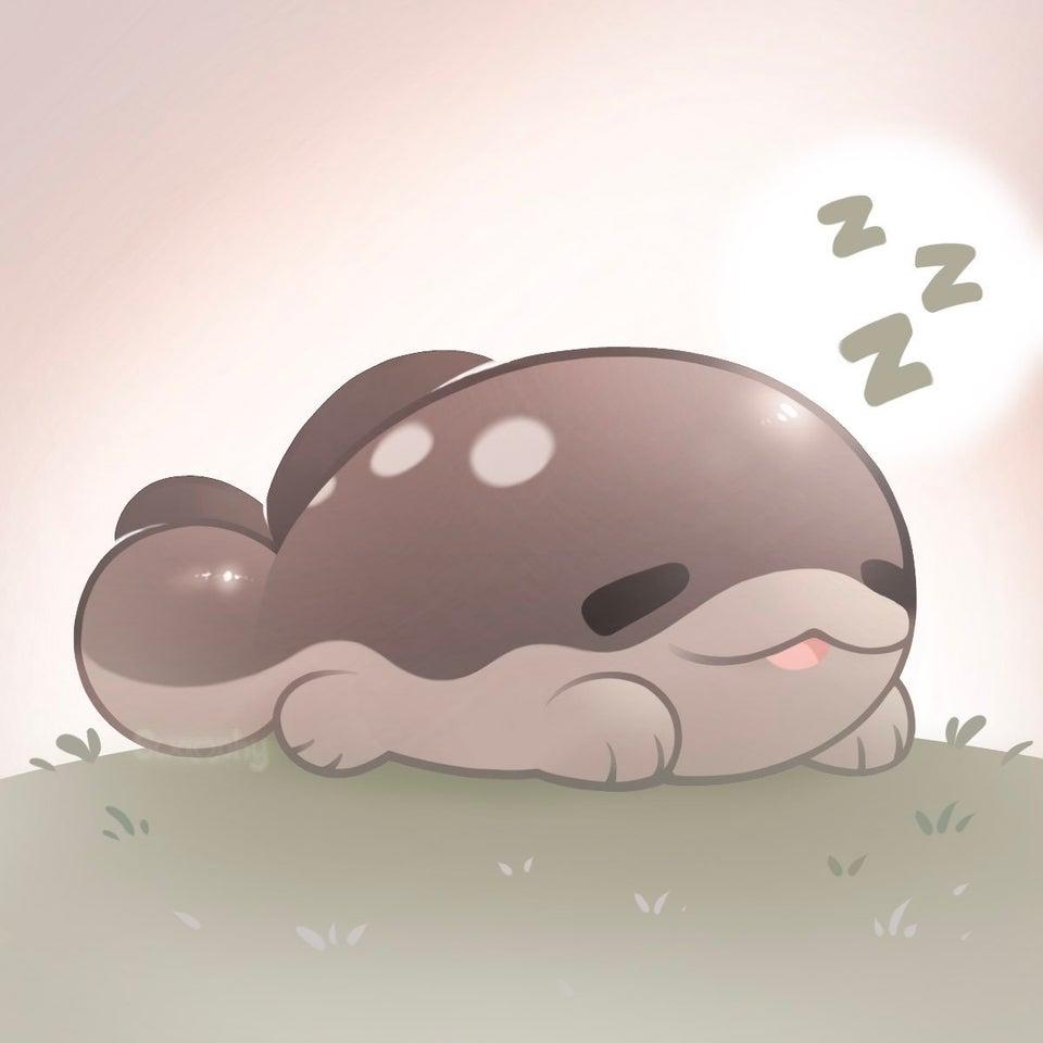 Clodsire Wallpapers - Wallpaper Cave