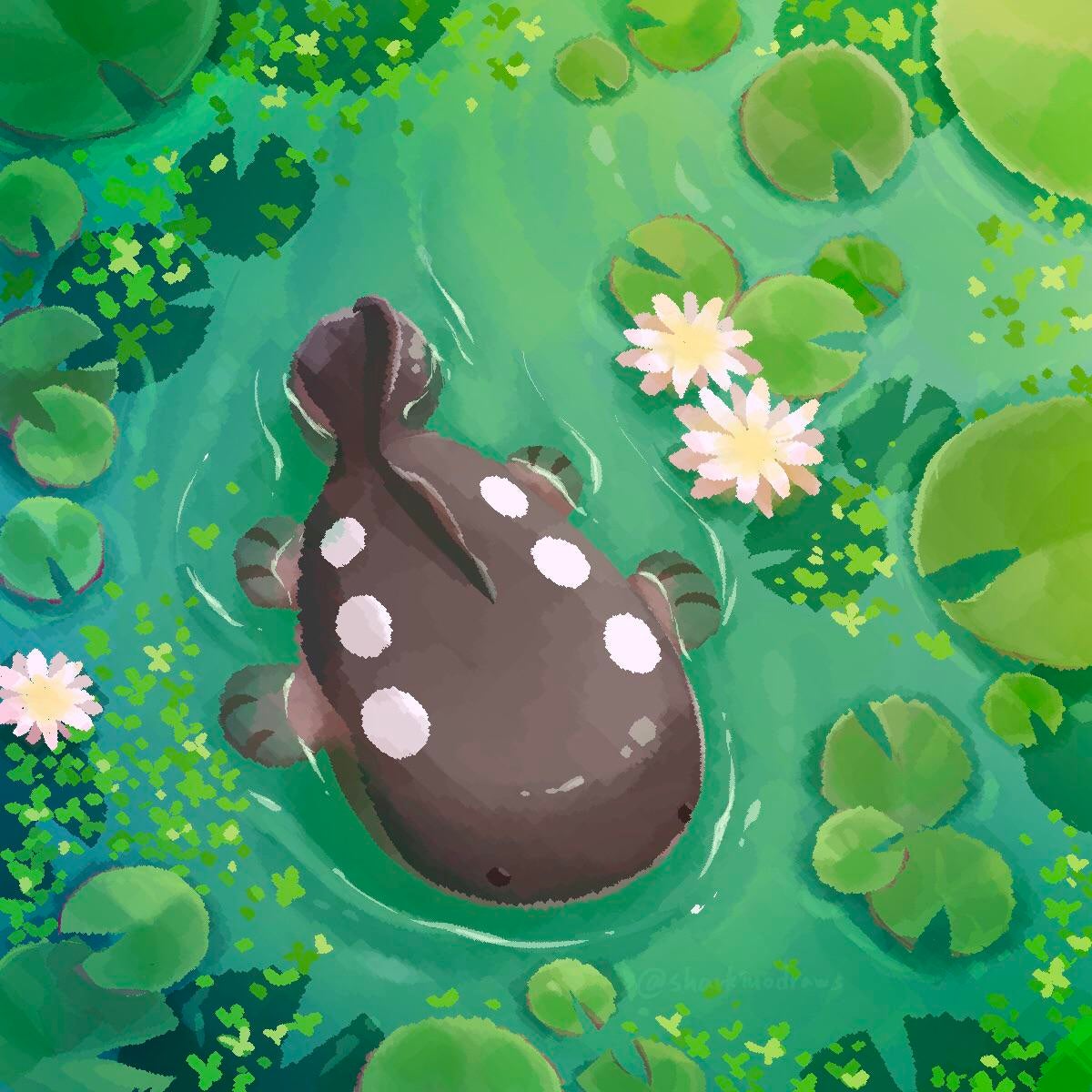 Clodsire Wallpapers - Wallpaper Cave