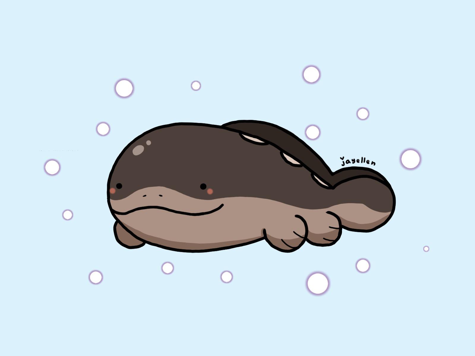 Clodsire Wallpapers - Wallpaper Cave