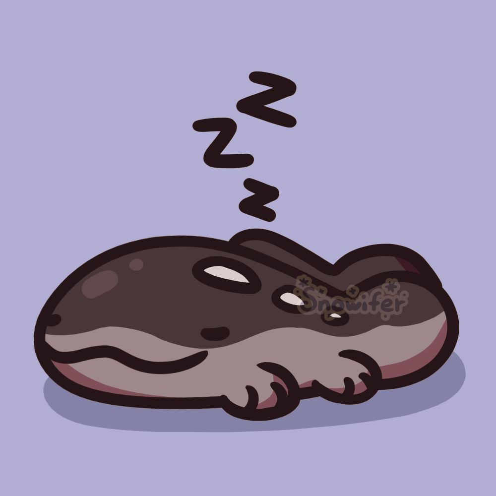 Clodsire Wallpapers - Wallpaper Cave