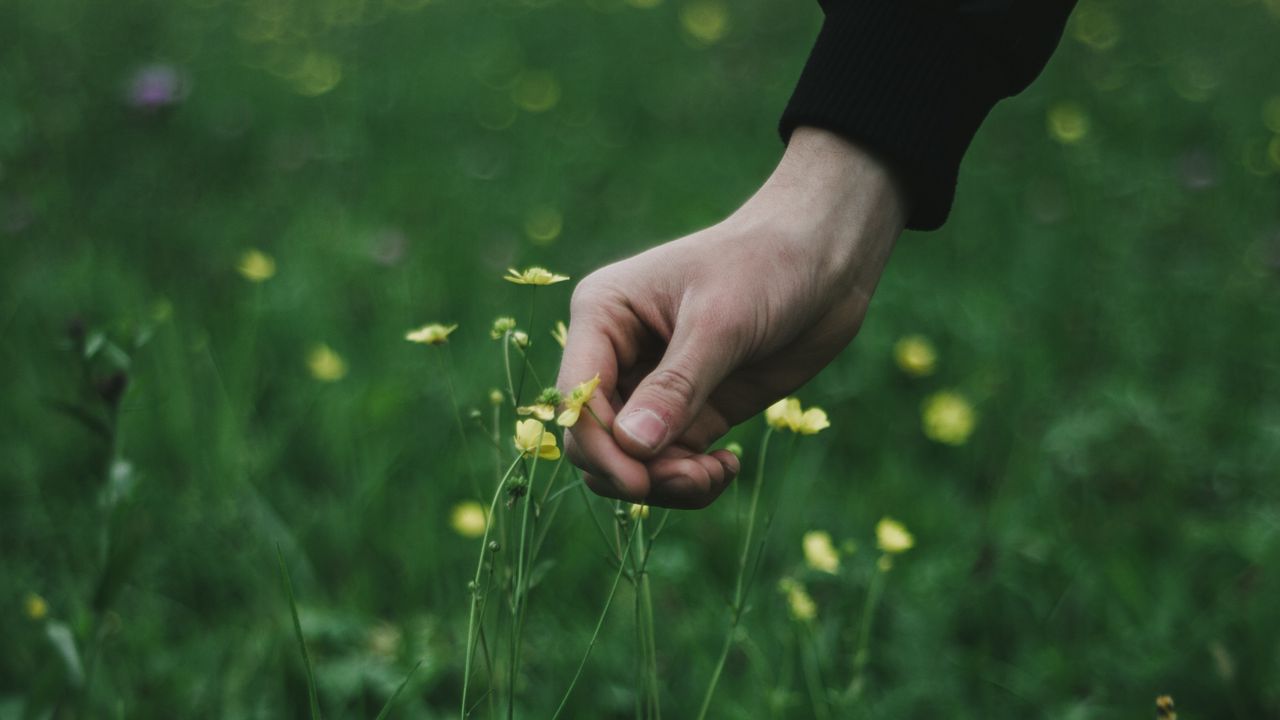 Touch Grass Wallpapers - Wallpaper Cave