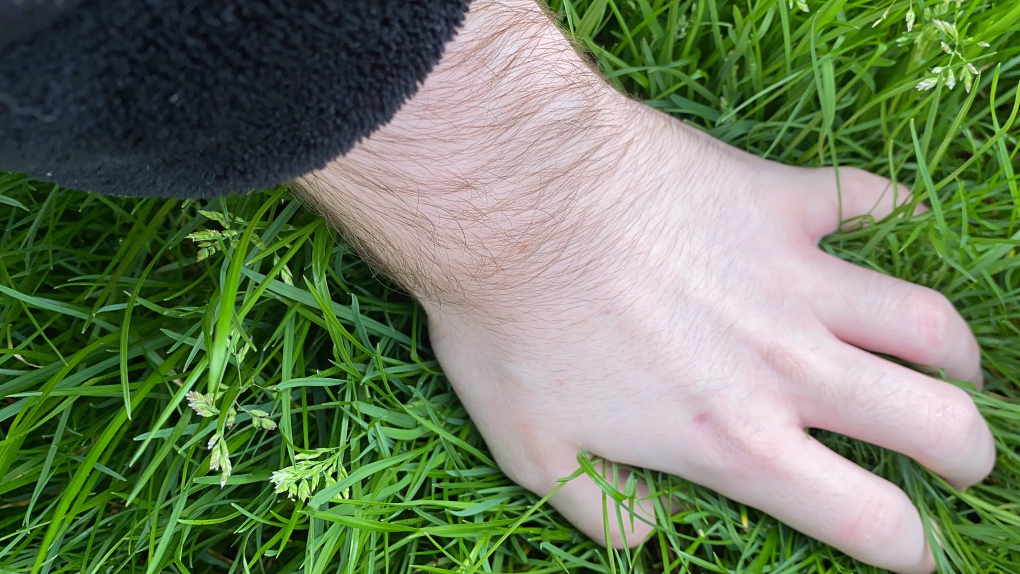 Touch Grass Wallpapers - Wallpaper Cave