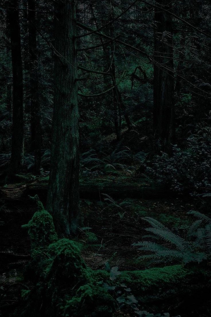 Forestcore Wallpapers - Wallpaper Cave