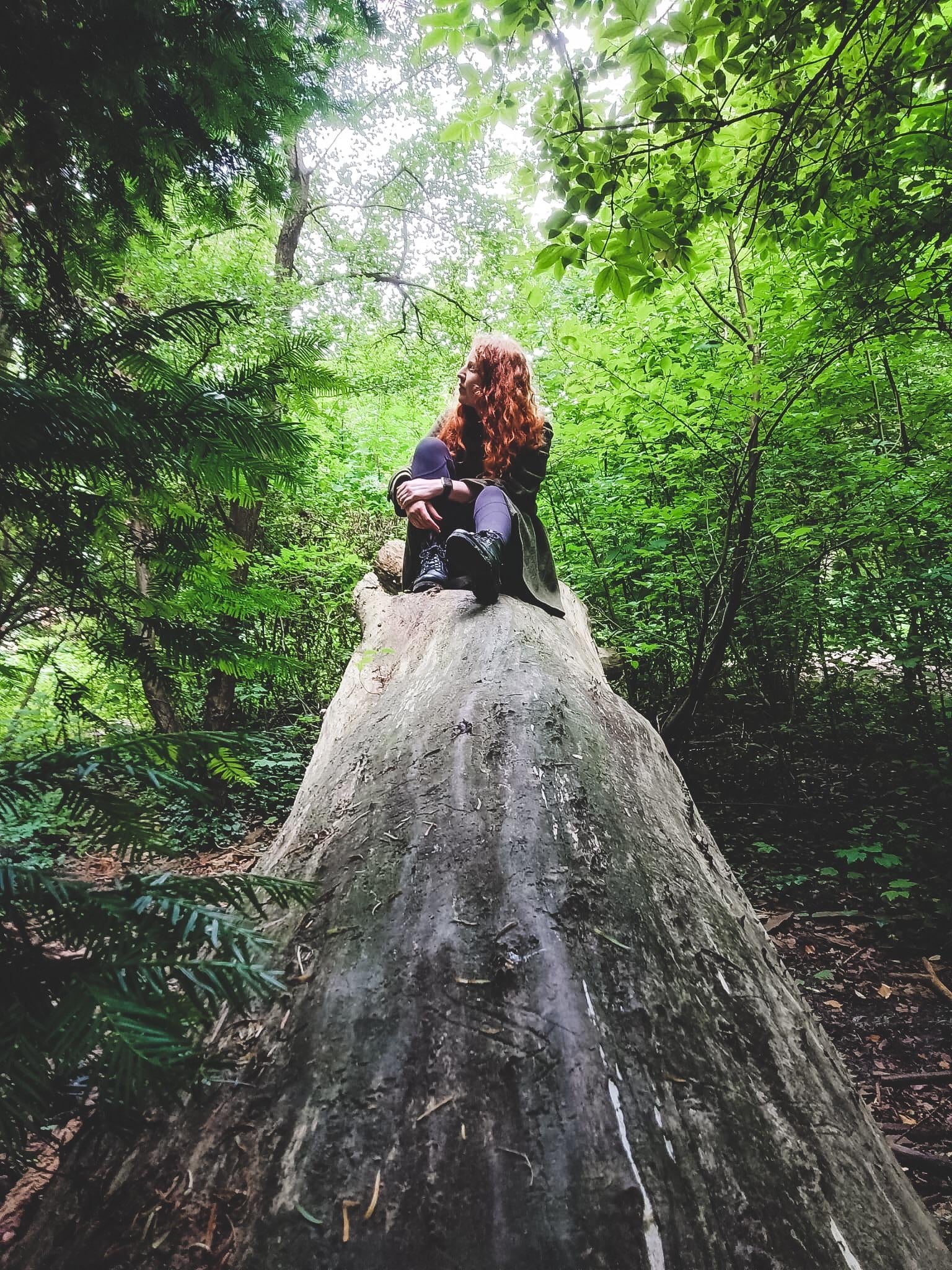 Forestcore Wallpapers - Wallpaper Cave