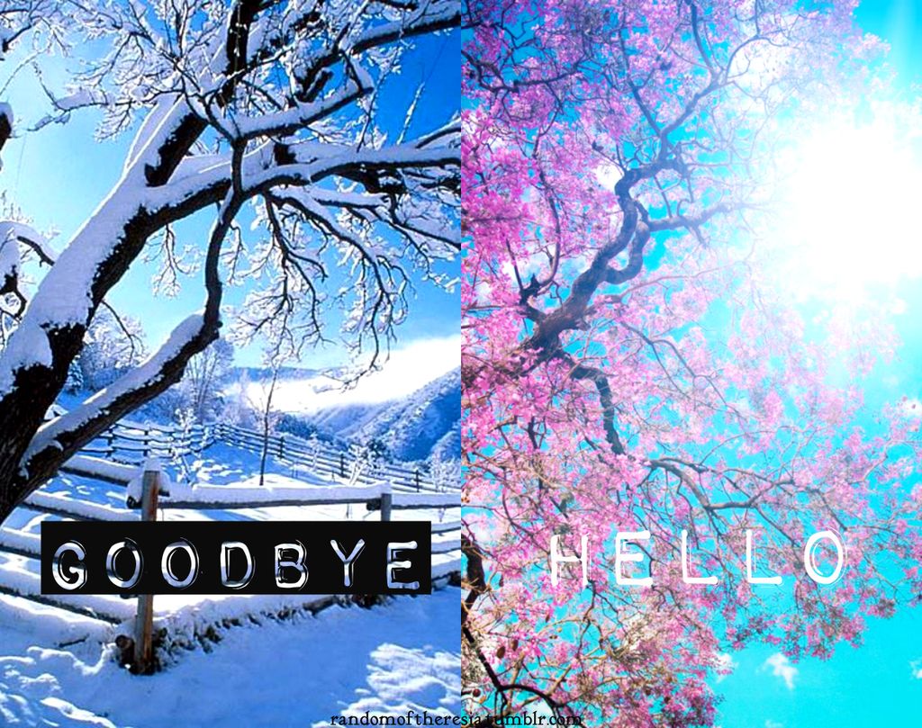 Bye Bye Winter Wallpapers - Wallpaper Cave