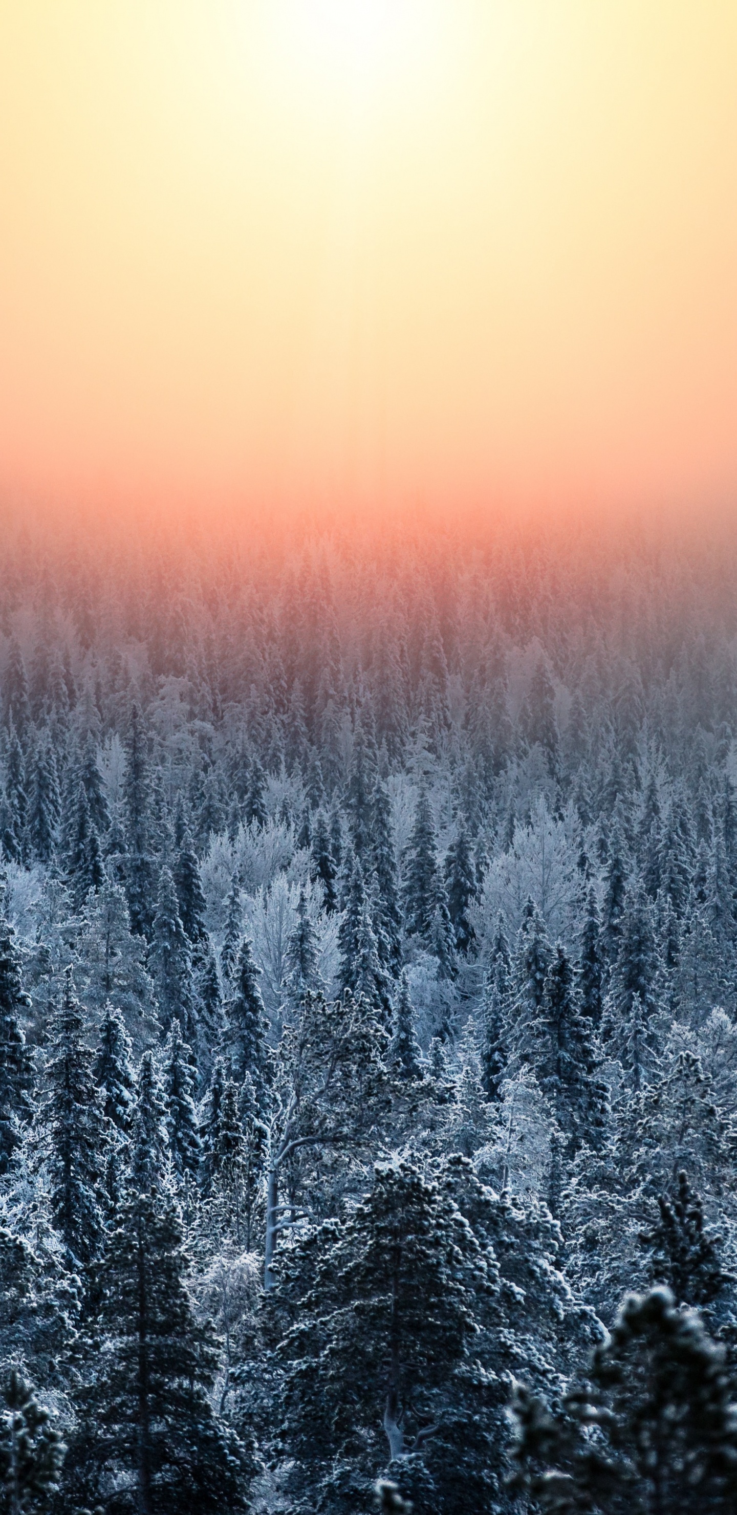 Bye Bye Winter Wallpapers - Wallpaper Cave