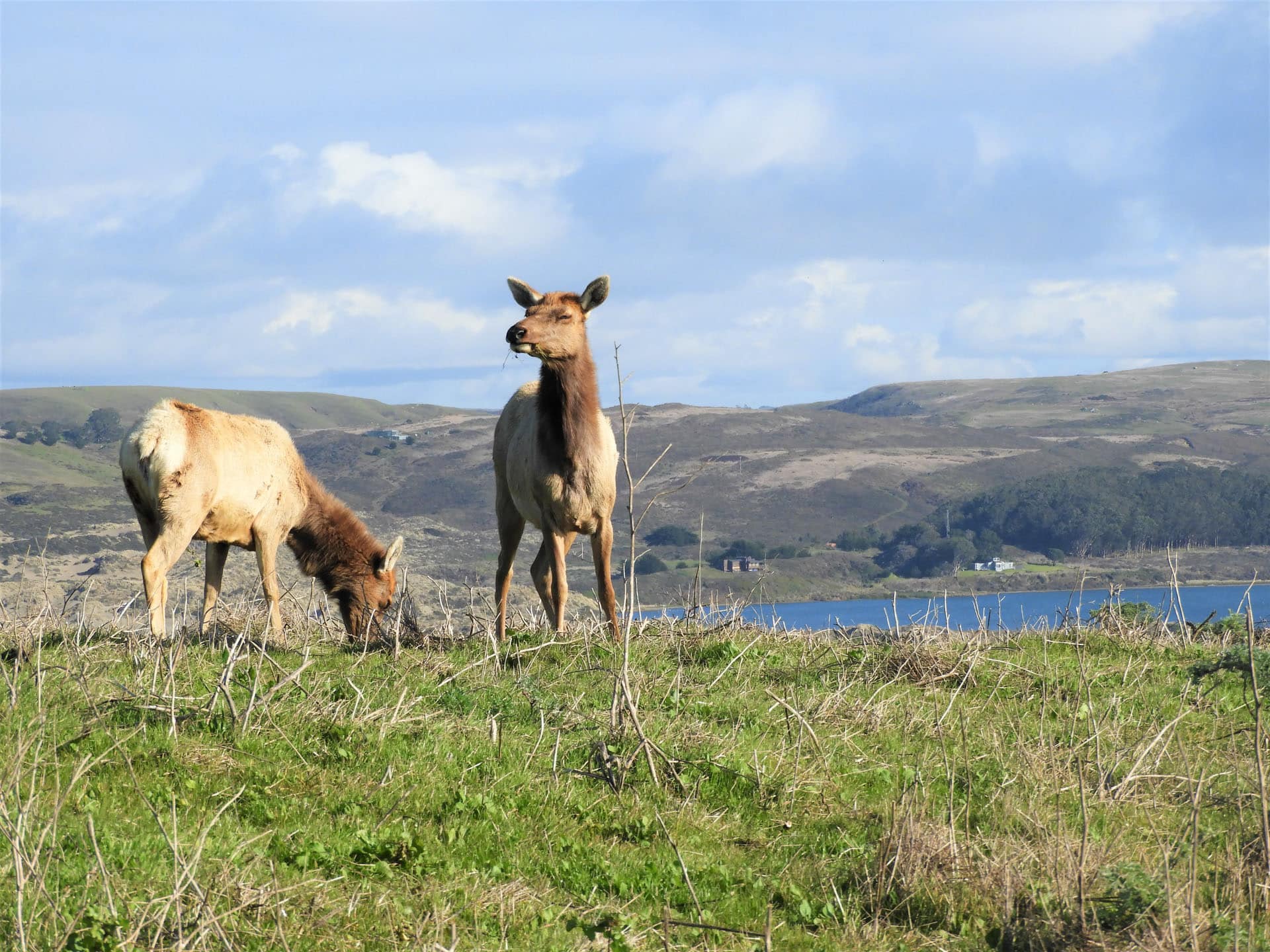 Point Reyes California Wallpapers - Wallpaper Cave