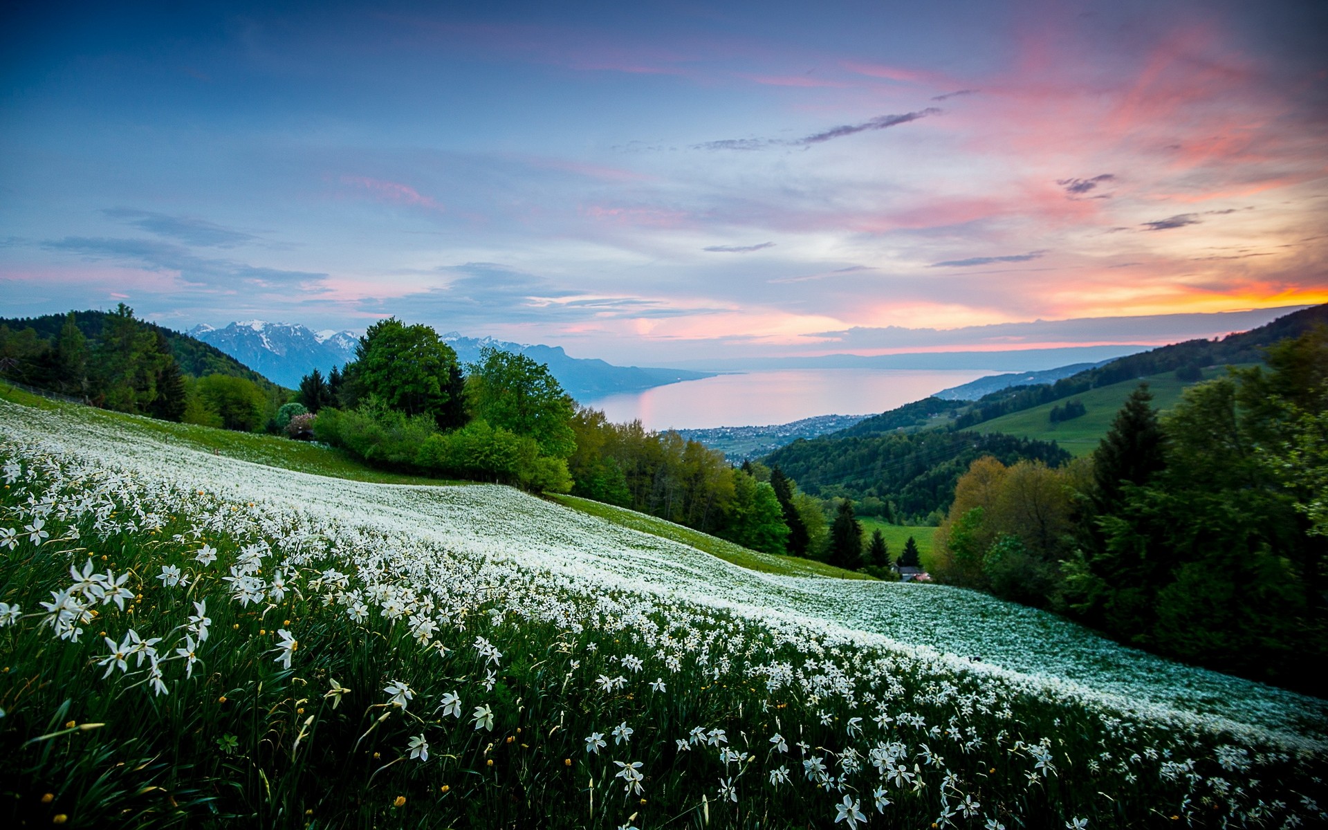 Spring Flowers Landscapes Wallpapers - Wallpaper Cave