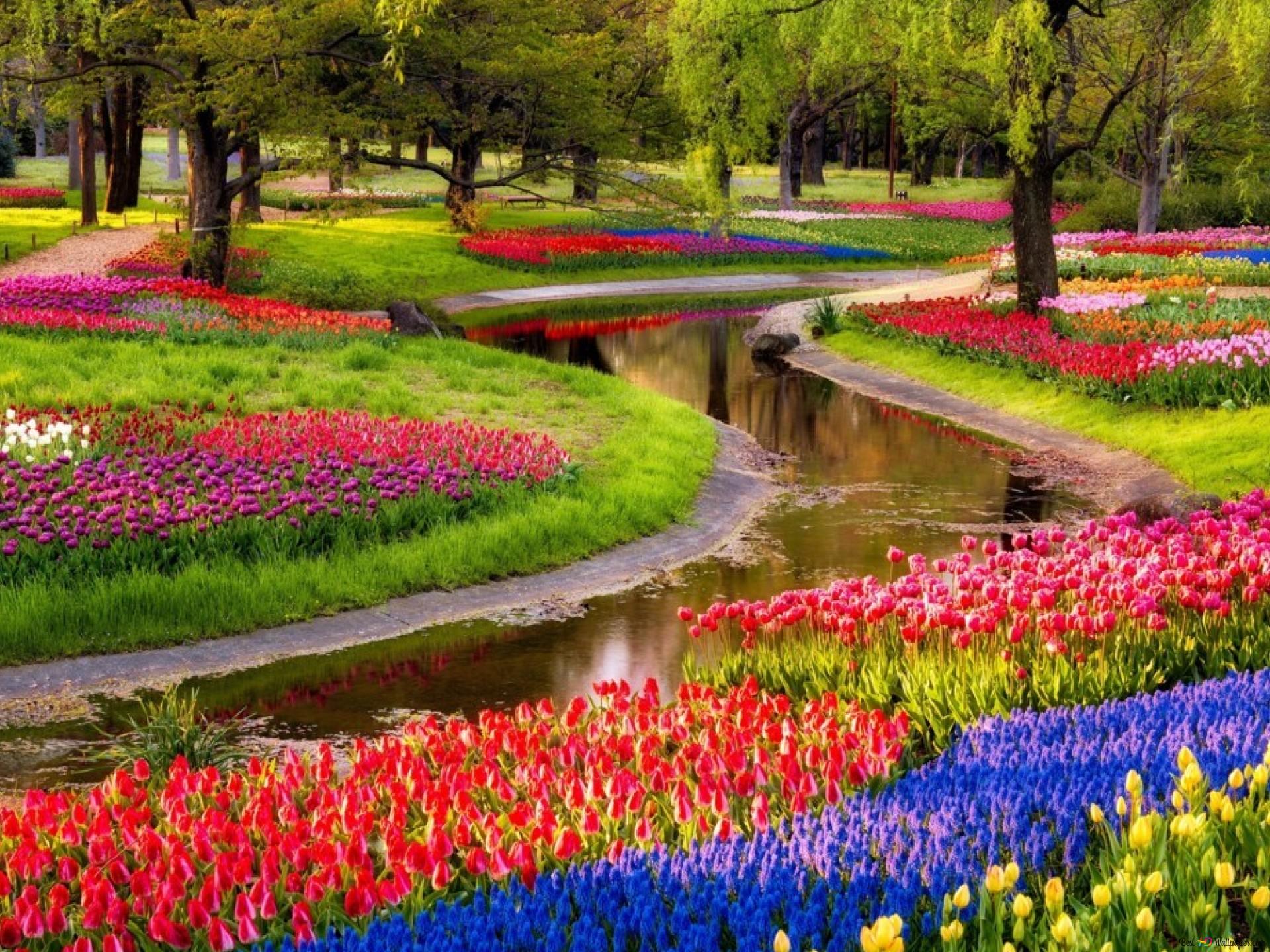 4k Flower Spring Wallpapers - Wallpaper Cave