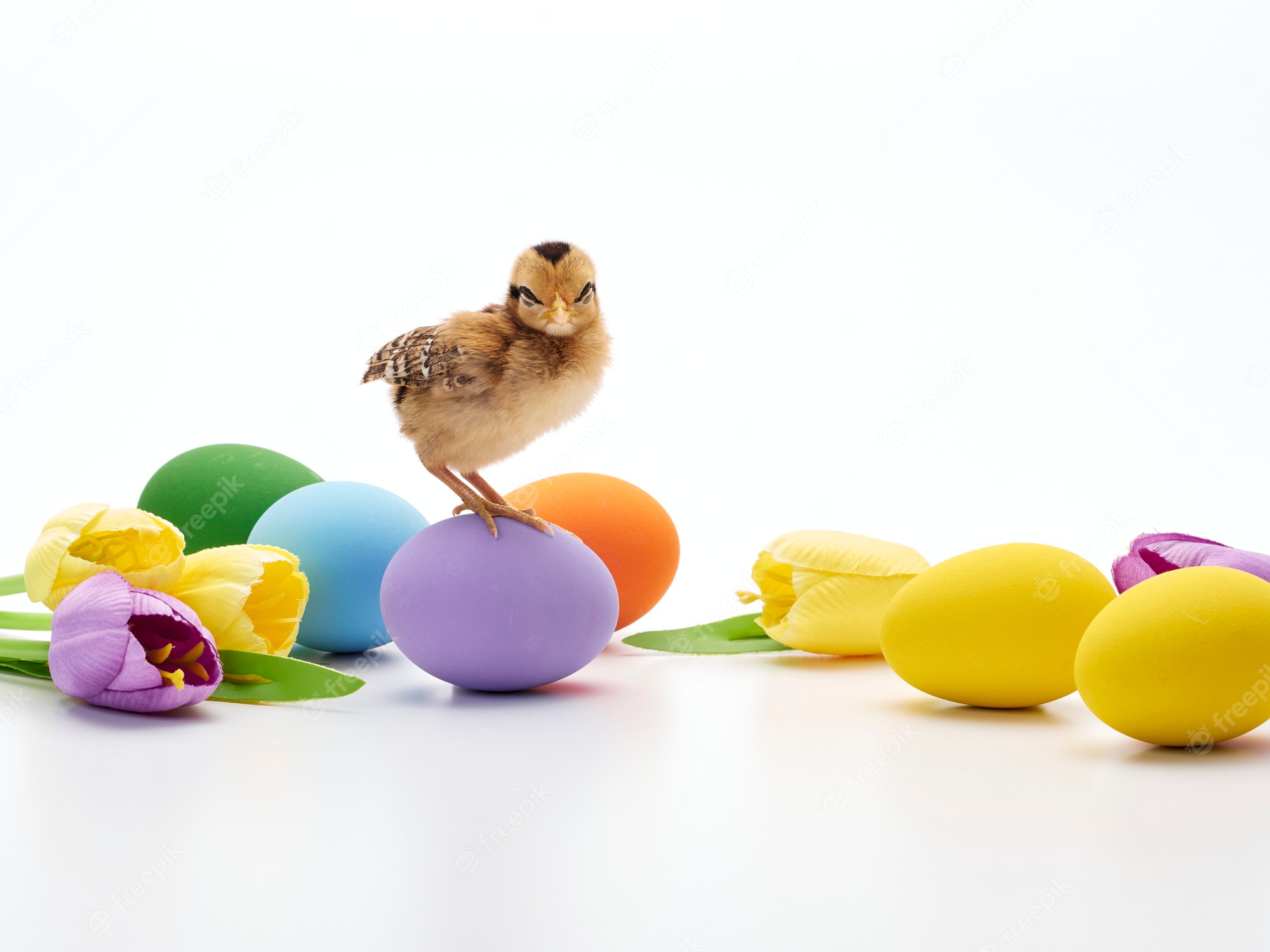 Baby Chick And Easter Eggs Wallpapers - Wallpaper Cave