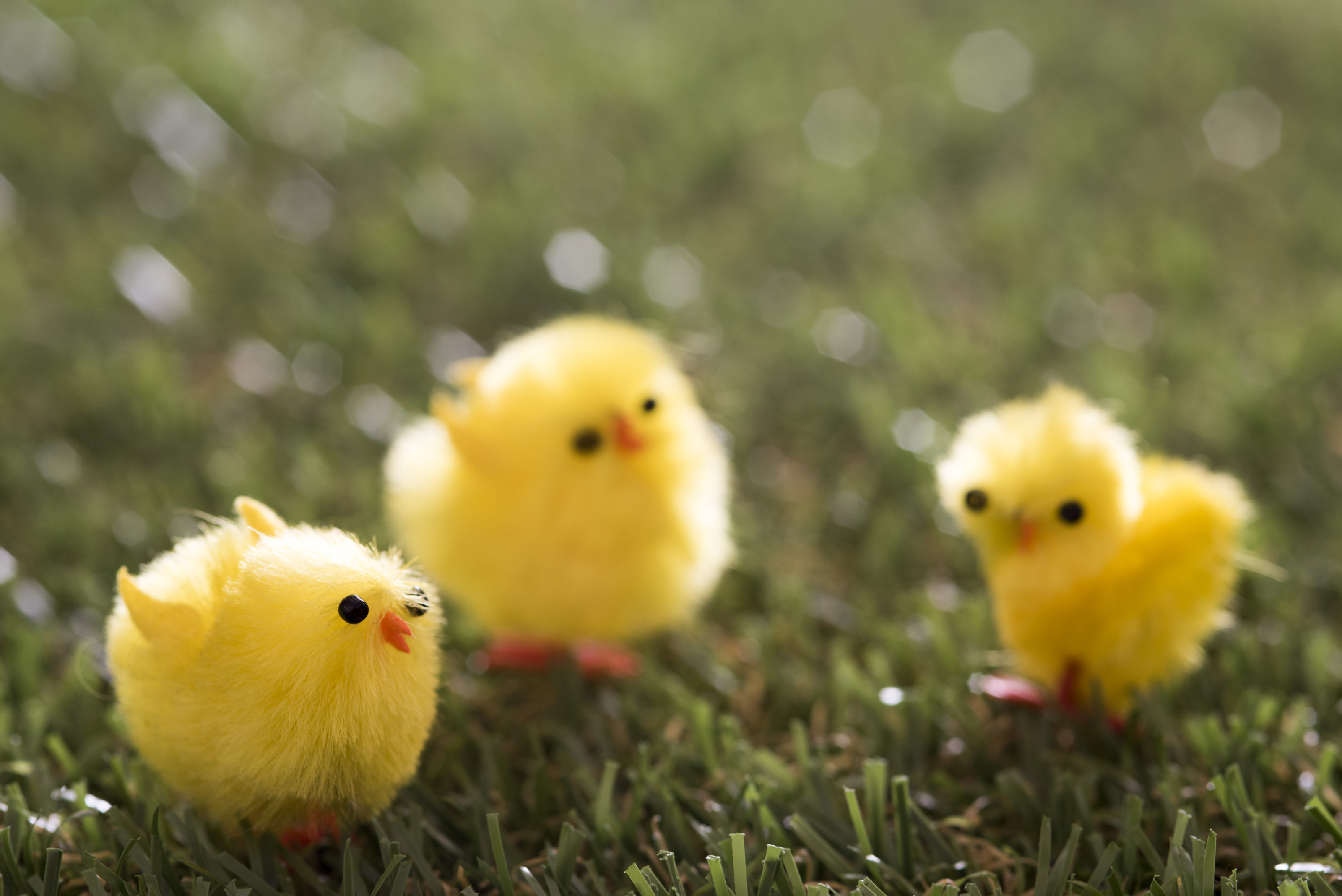 Cute Easter Yellow Wallpapers - Wallpaper Cave