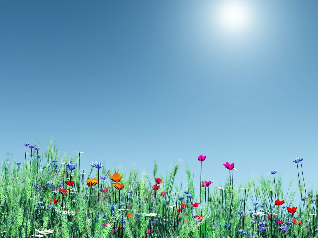Minimal Spring Flower Desktop Wallpapers - Wallpaper Cave