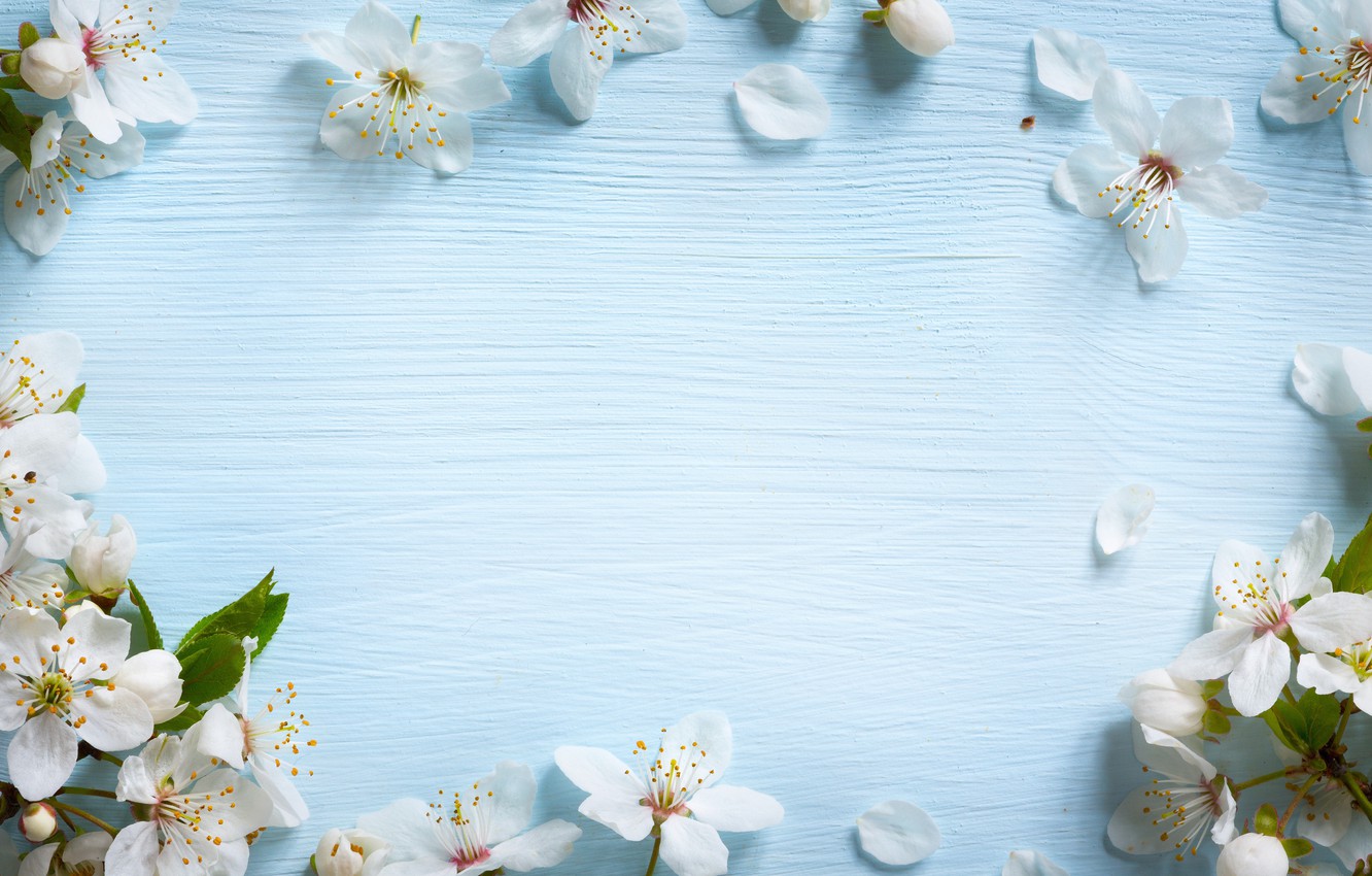 Pretty Spring Flowers Blue Wallpapers - Wallpaper Cave