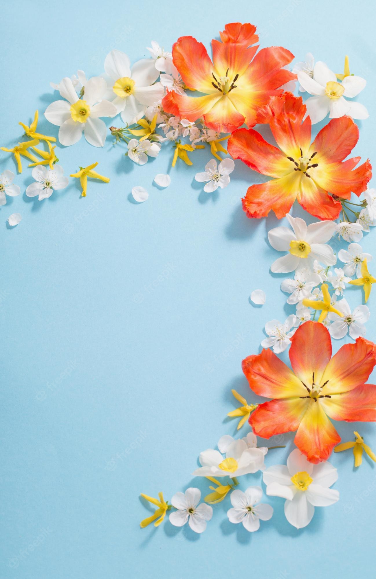 Pretty Spring Flowers Blue Wallpapers - Wallpaper Cave