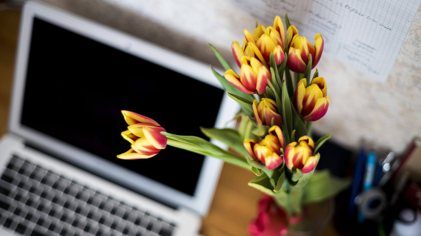 Spring Clean Wallpapers - Wallpaper Cave