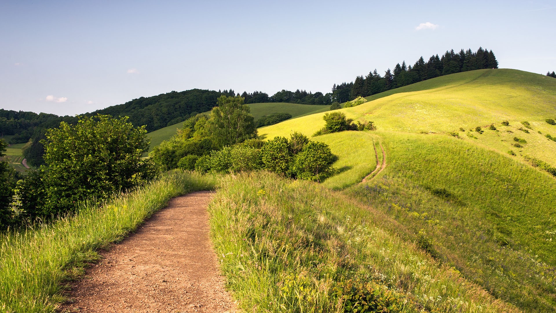 Spring Grass Trees Wallpapers - Wallpaper Cave